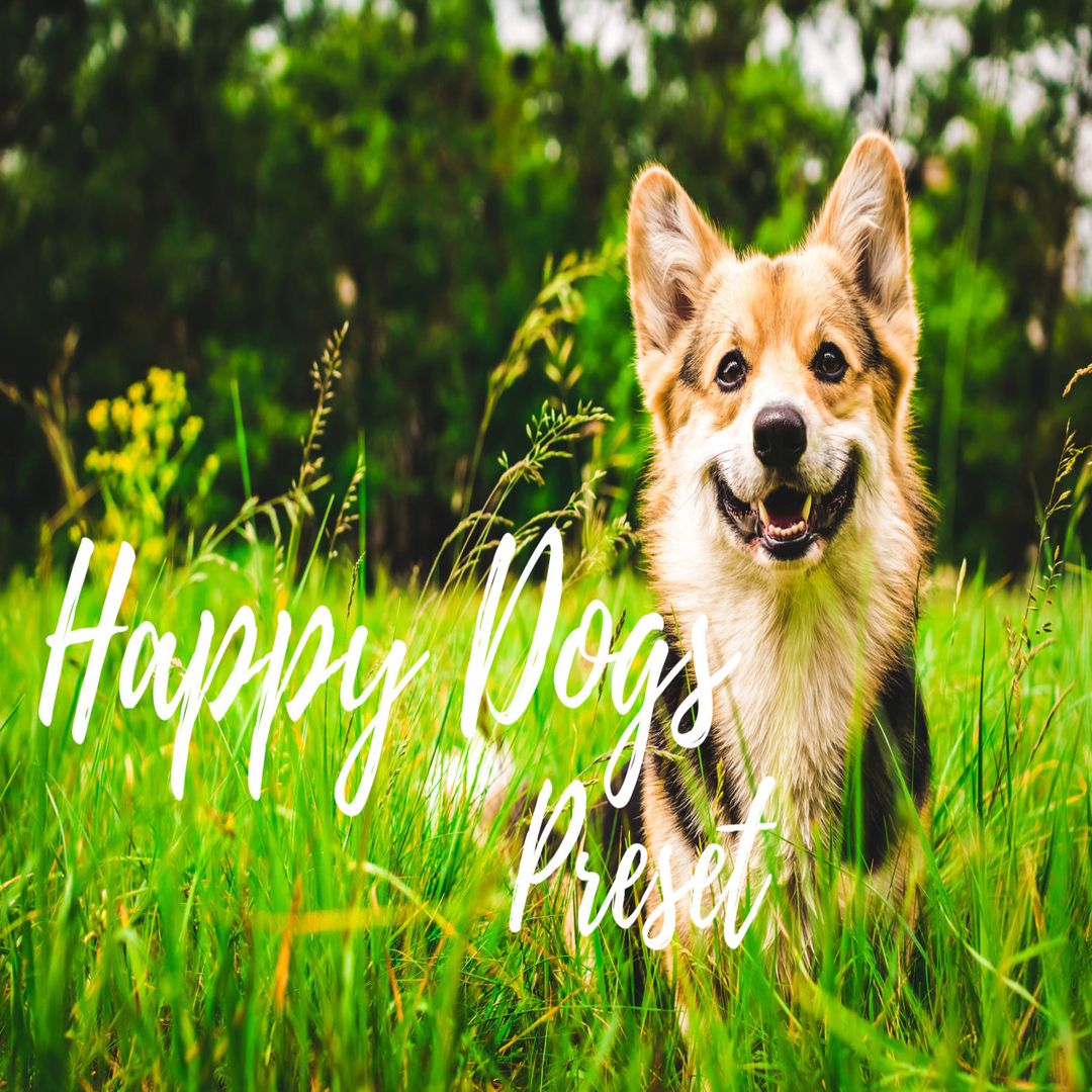 Happy Dogs Mobile & Desktop Presets | Inspire Uplift