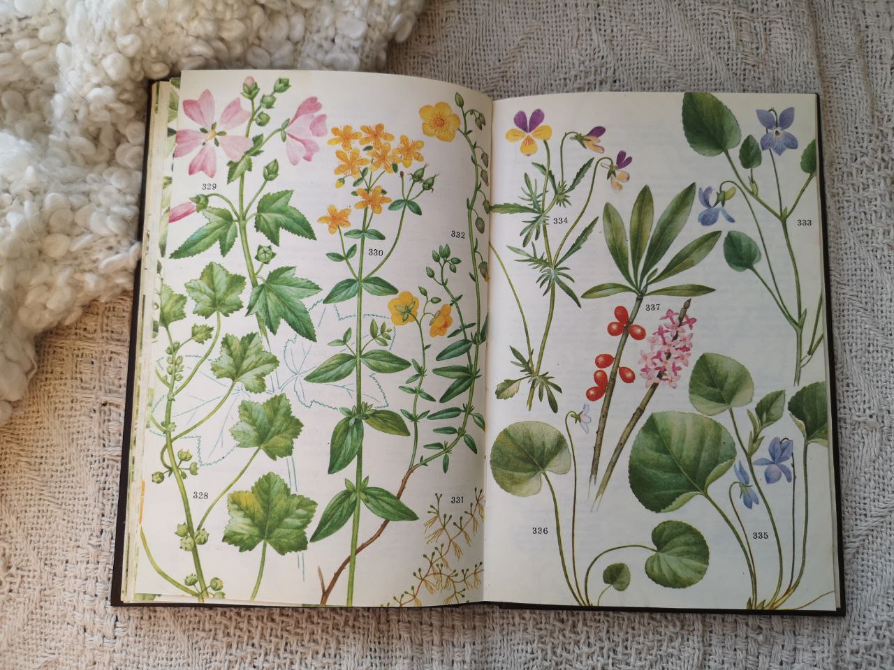 Atlas of higher plants, botanical book, flowers guide, 1991 - Inspire ...