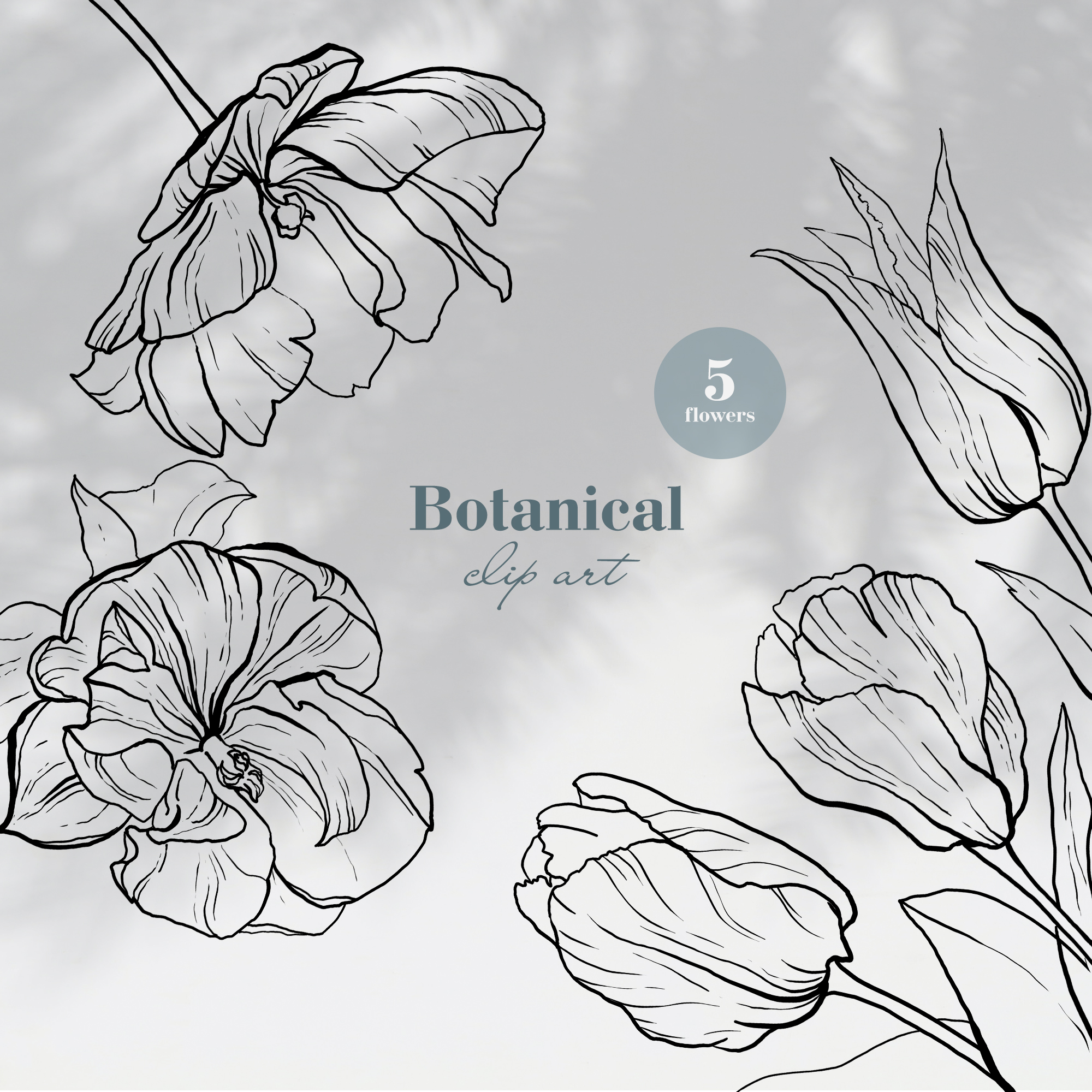 Botanical clipart. Flower digital illustration | Inspire Uplift