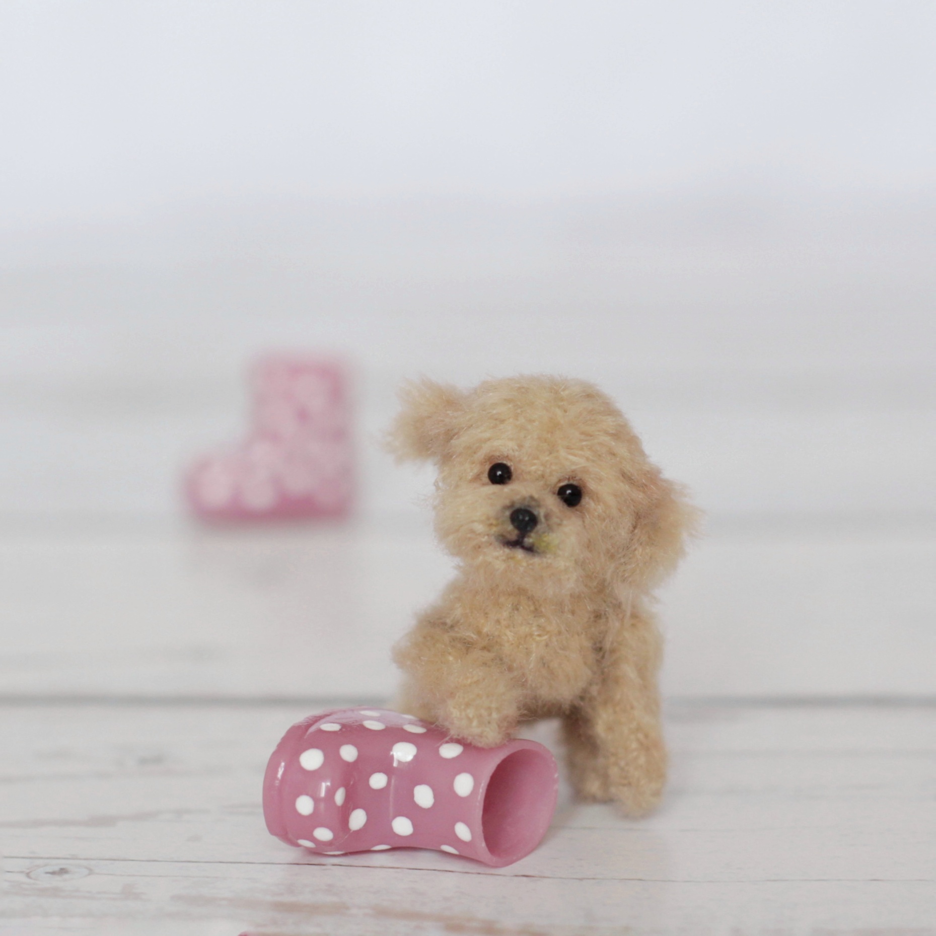 Miniature dog, Maltipoo puppy, Dollhouse pet, Toy for doll, | Inspire ...