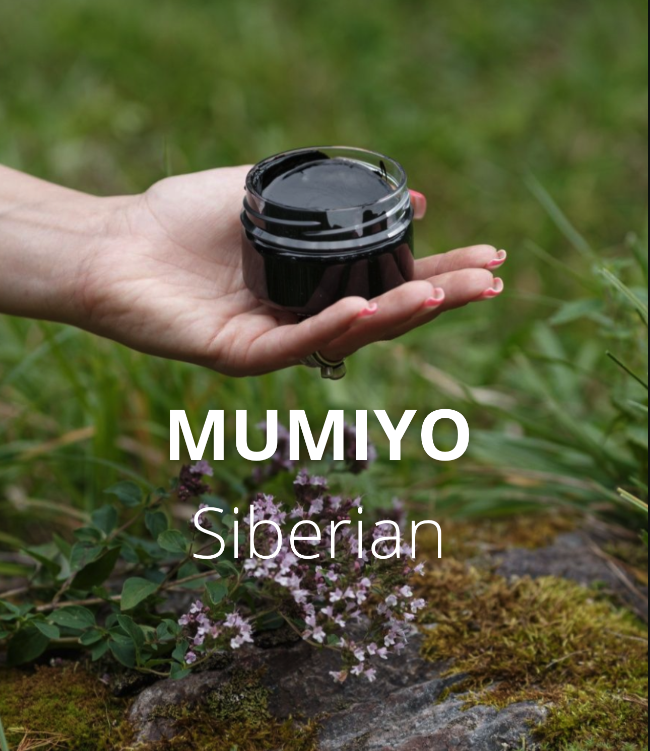 Siberian SHILAJIT Paste MUMIYO Natural purified Altai Gold f - Inspire ...