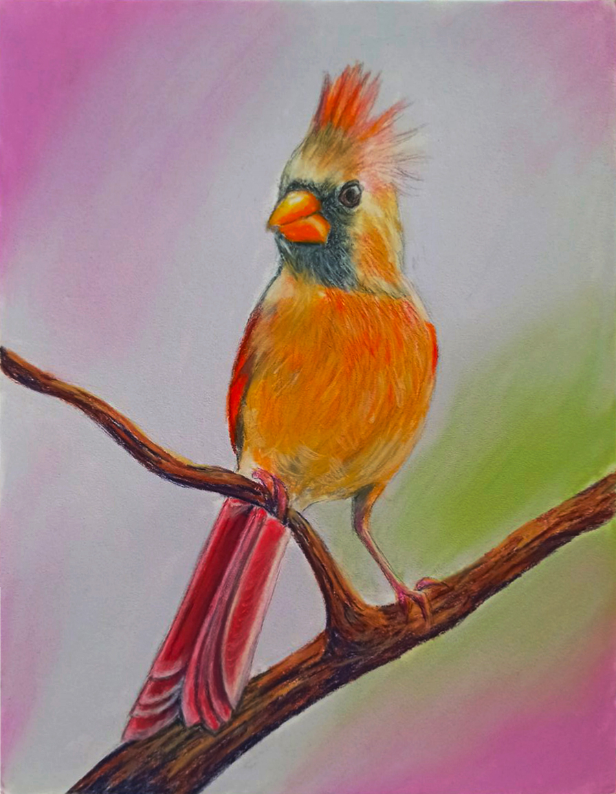 Colourful bird Illustration, Original Bird drawing, Bird wal - Inspire ...