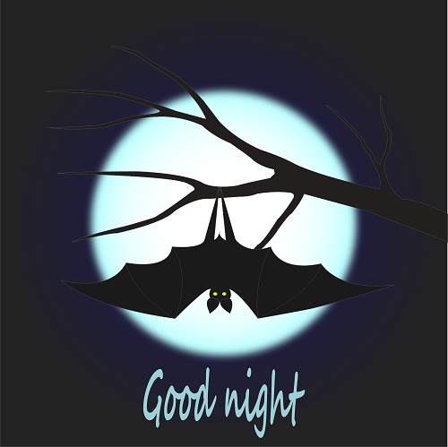 Good Night Bat | Inspire Uplift