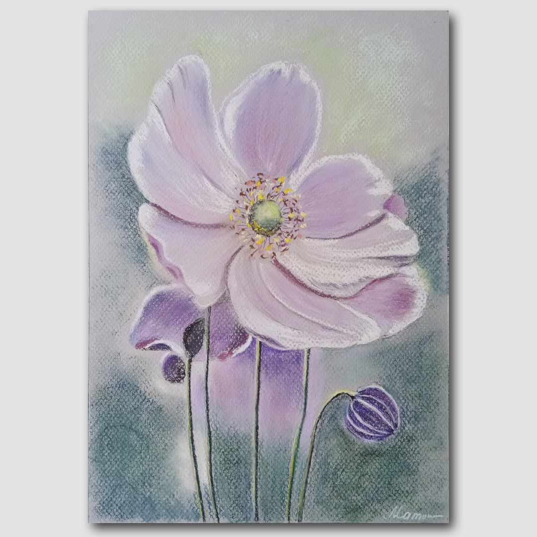 Lilac anemone | Inspire Uplift