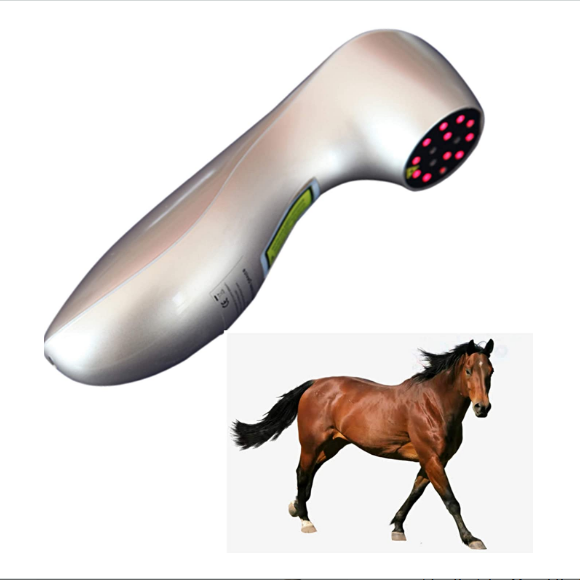 Handheld 808nm and 650nm Cold Laser Therapy Device for Body | Inspire ...