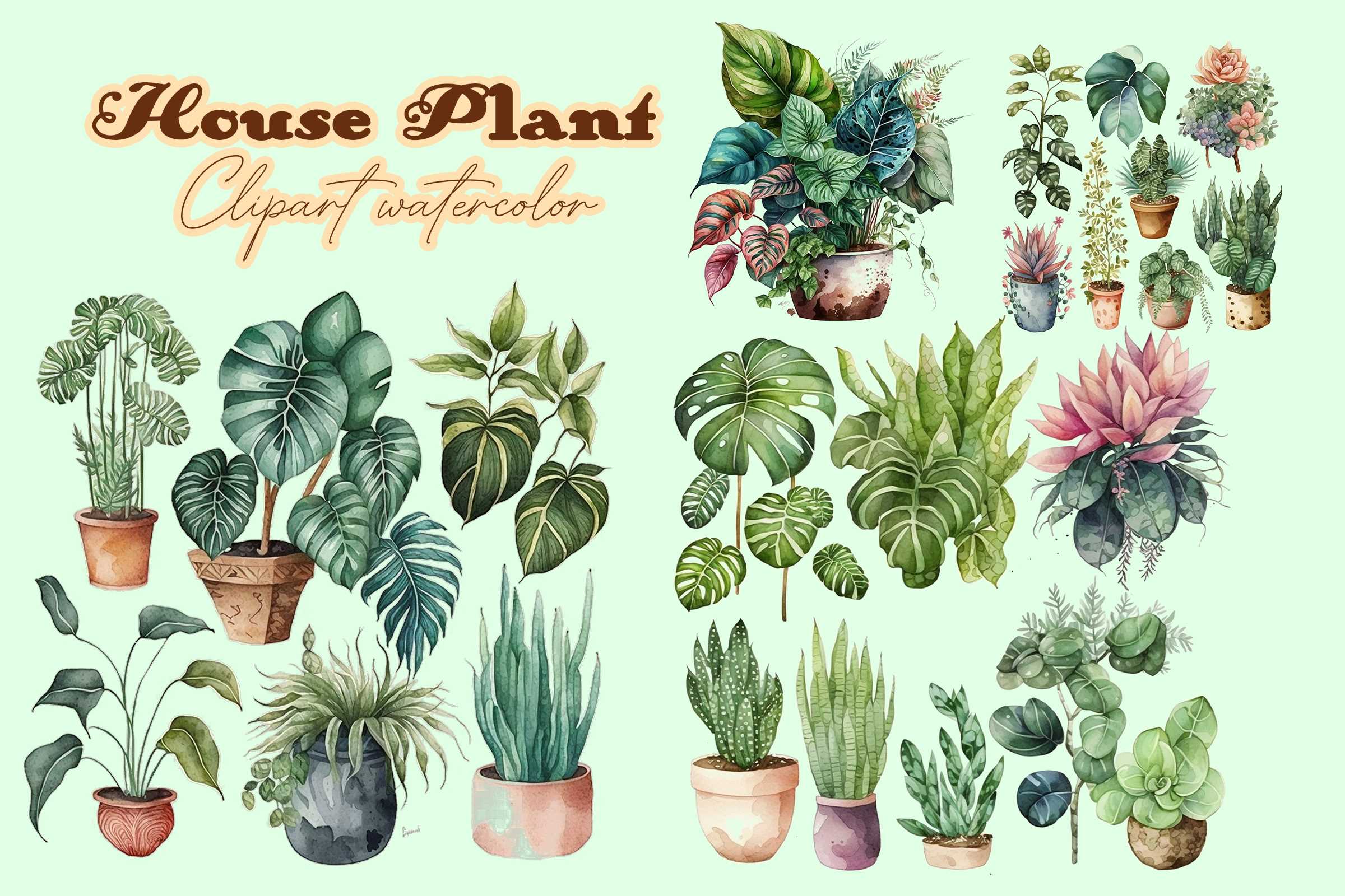 House Plant Clipart Watercolor | Inspire Uplift