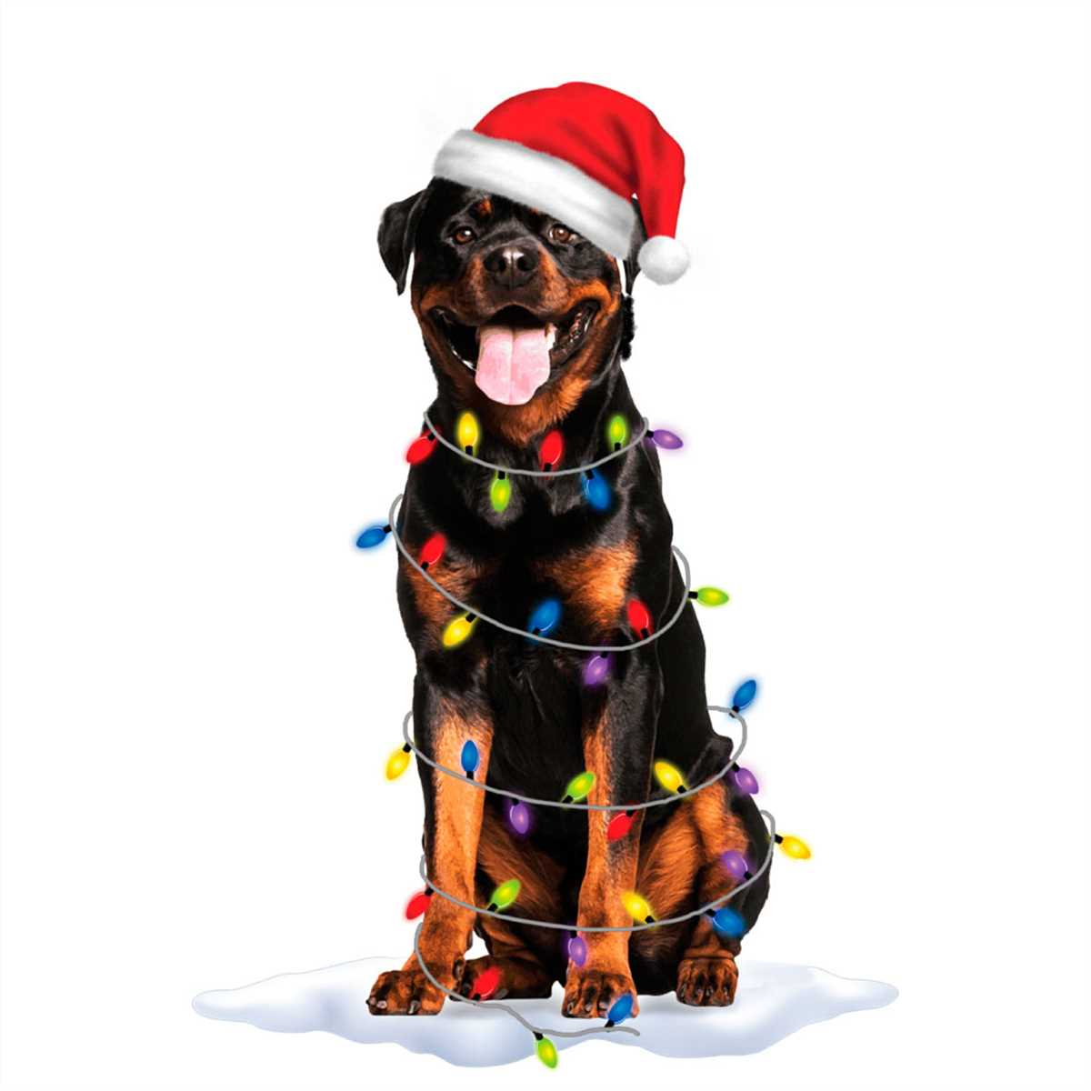 Cute Rottweiler Sitting Wearing Santa Hat PNG Sublimation De - Inspire ...