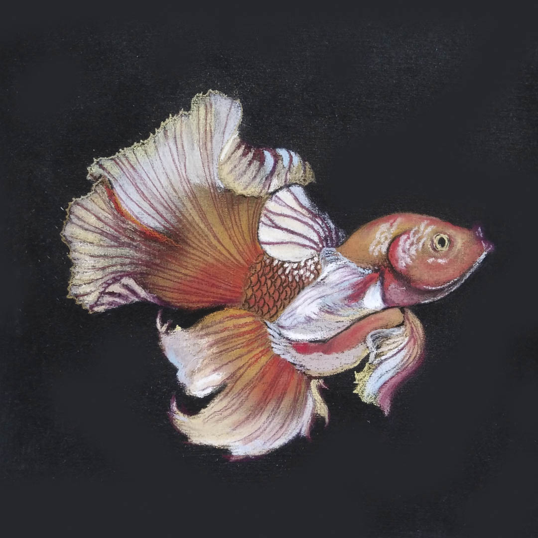 The fairy tale of the goldfish | Inspire Uplift