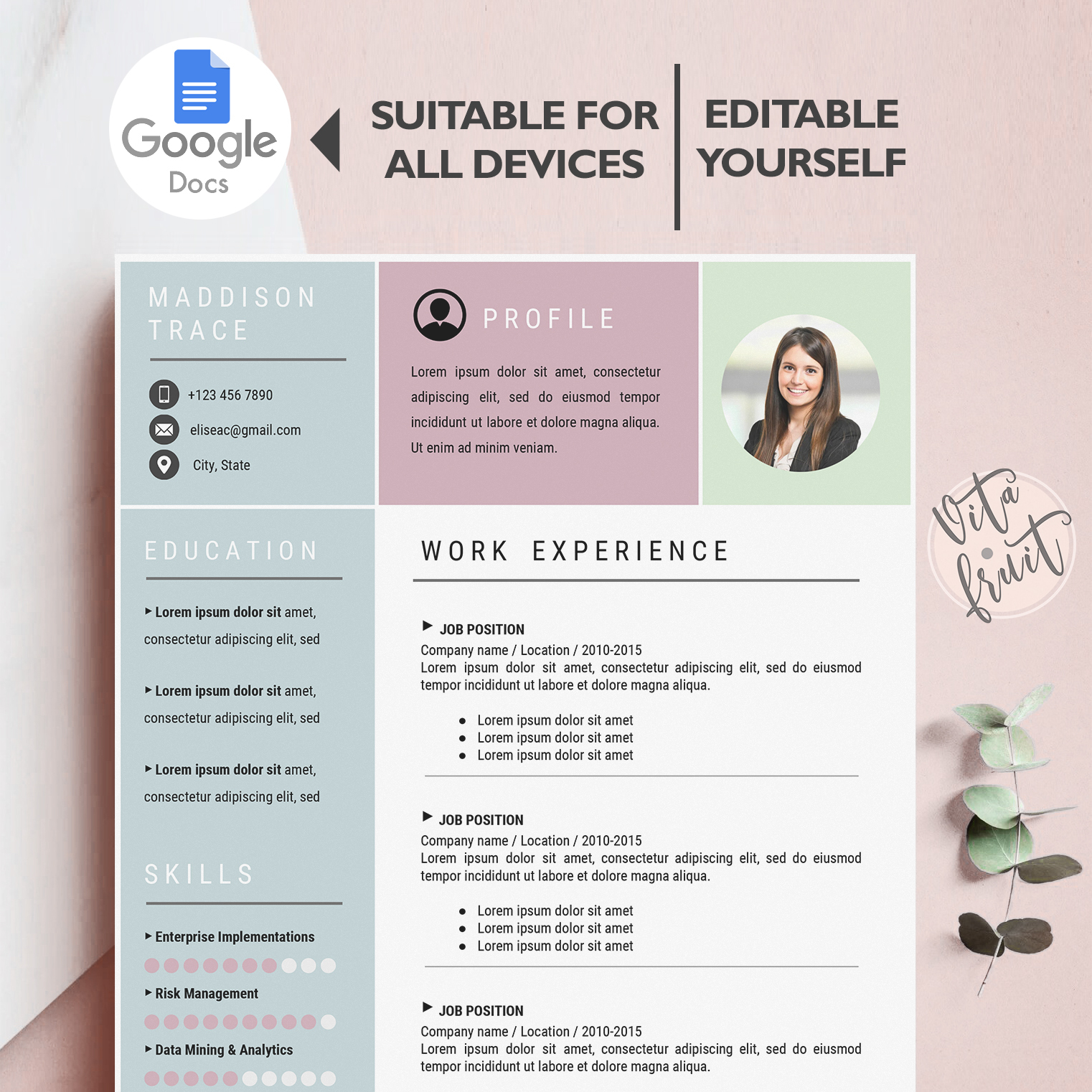 Modern Resume Google Docs, Professional Resume Template, Cle - Inspire ...