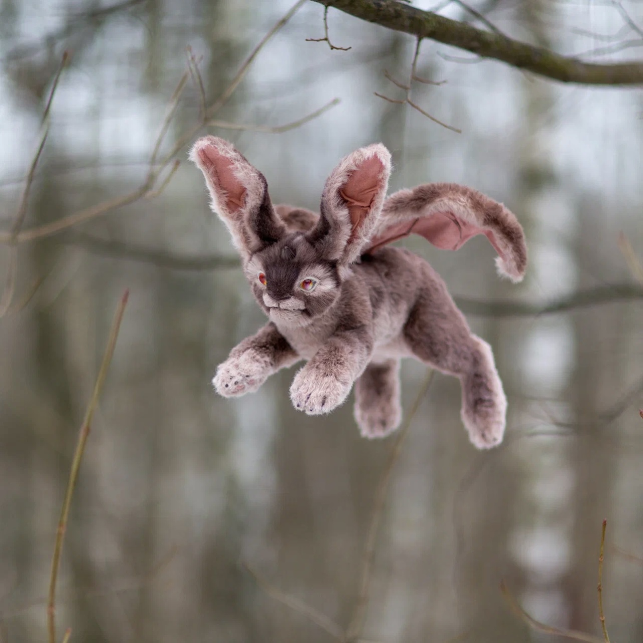 Chimera hare - Inspire Uplift