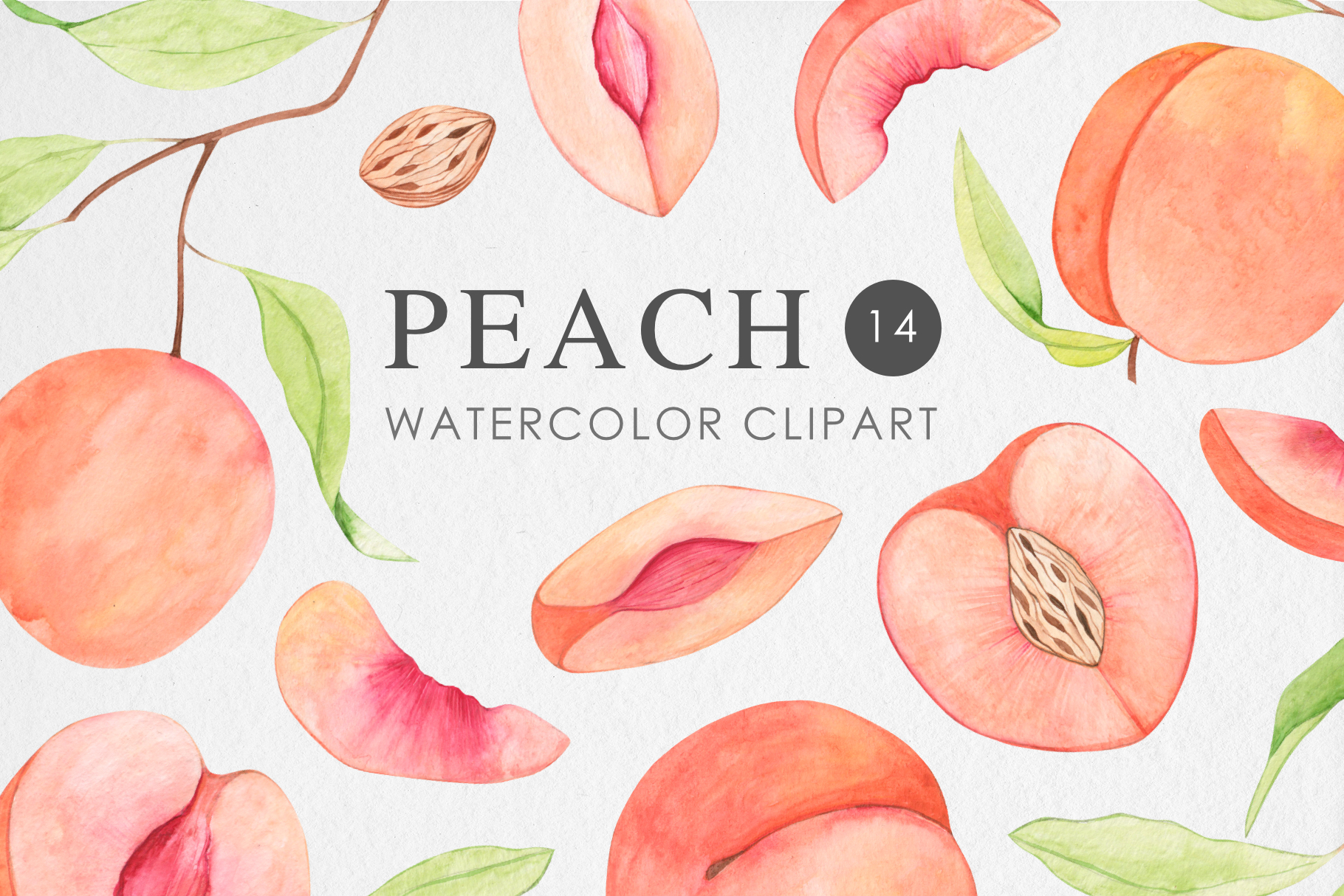 Watercolor Peach Clipart / Fruit Clipart PNG | Inspire Uplift