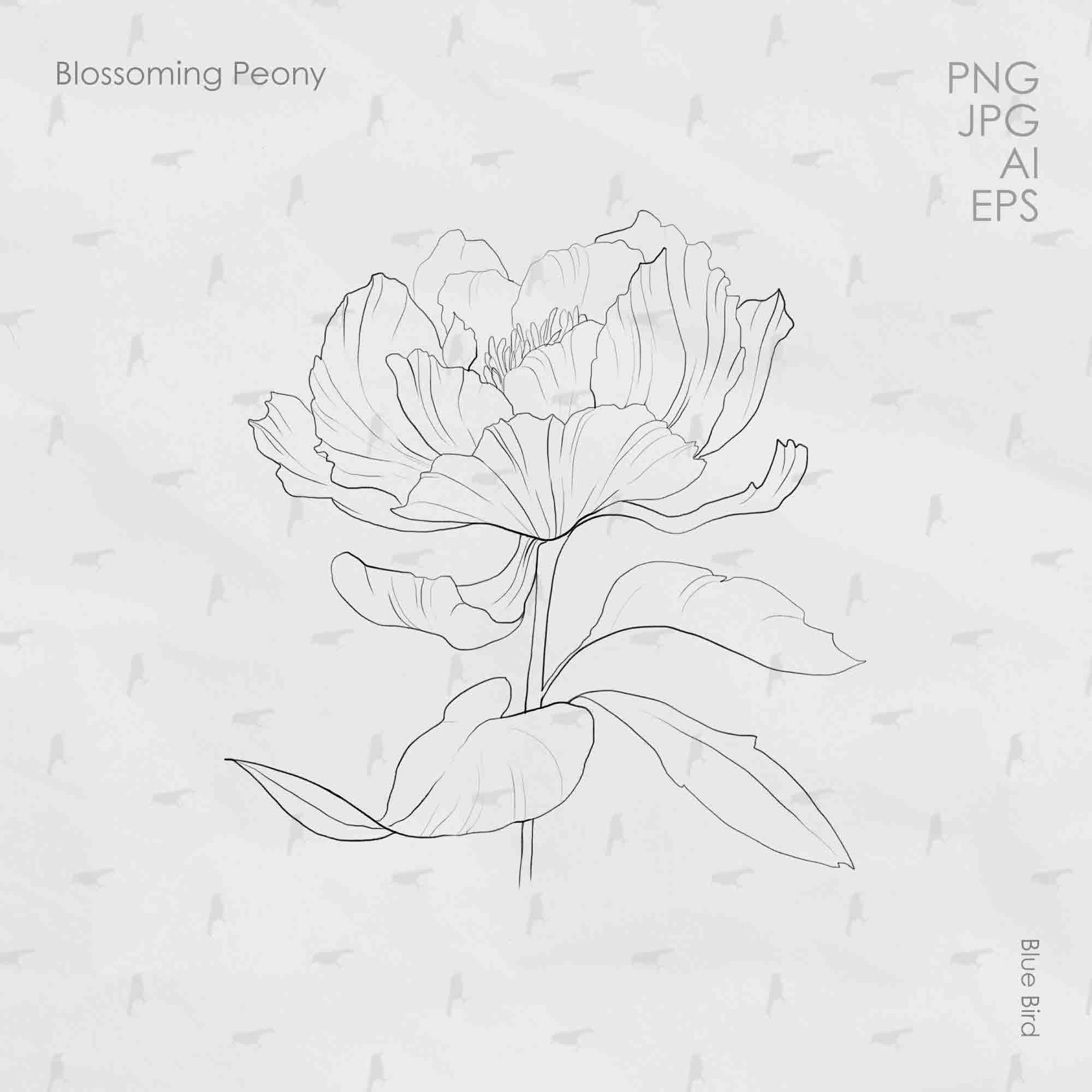 Botanical line art, Botanical leaves illustrations, Clipart | Inspire ...