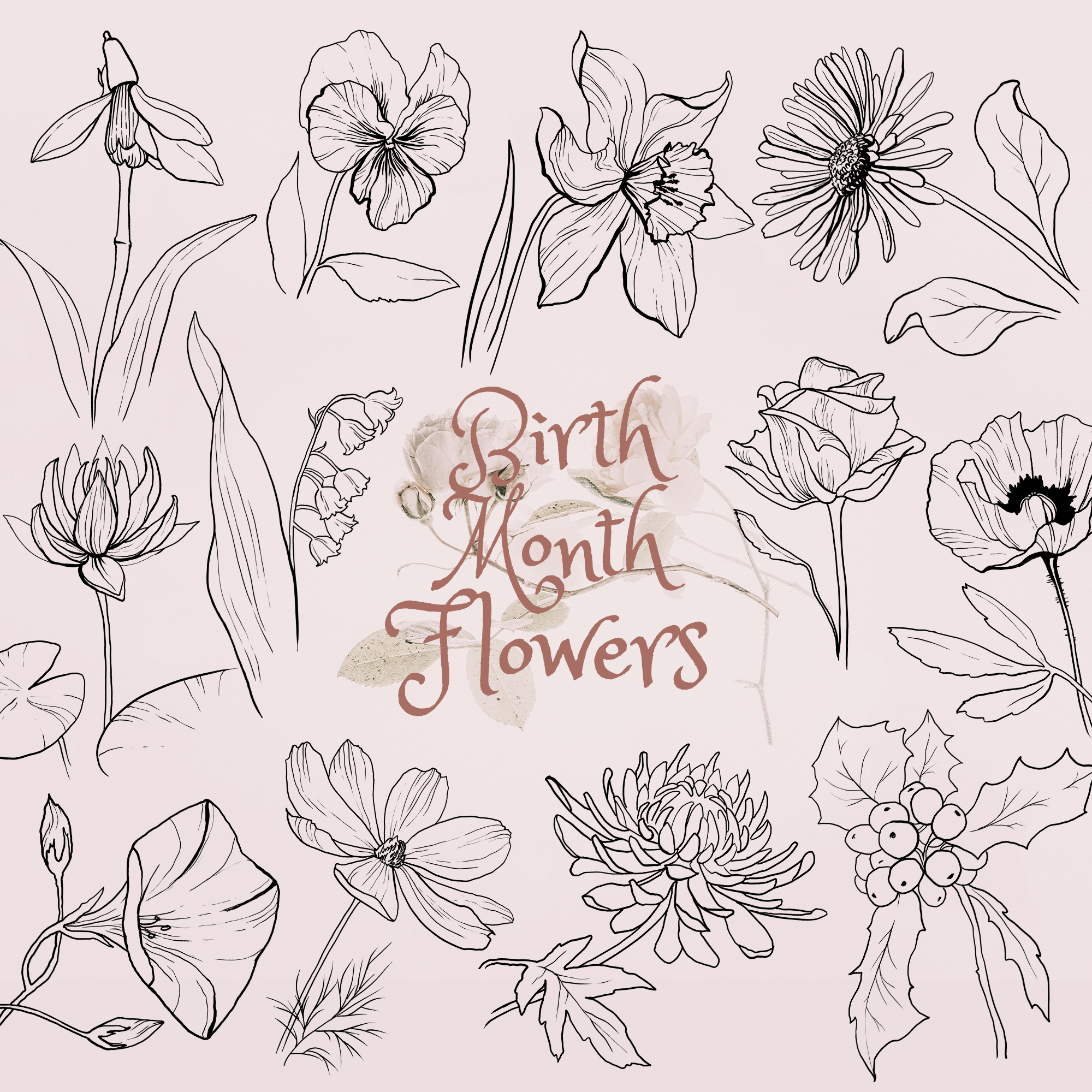 Birth month flowers, hand drawn botanical clipart, botanical | Inspire ...