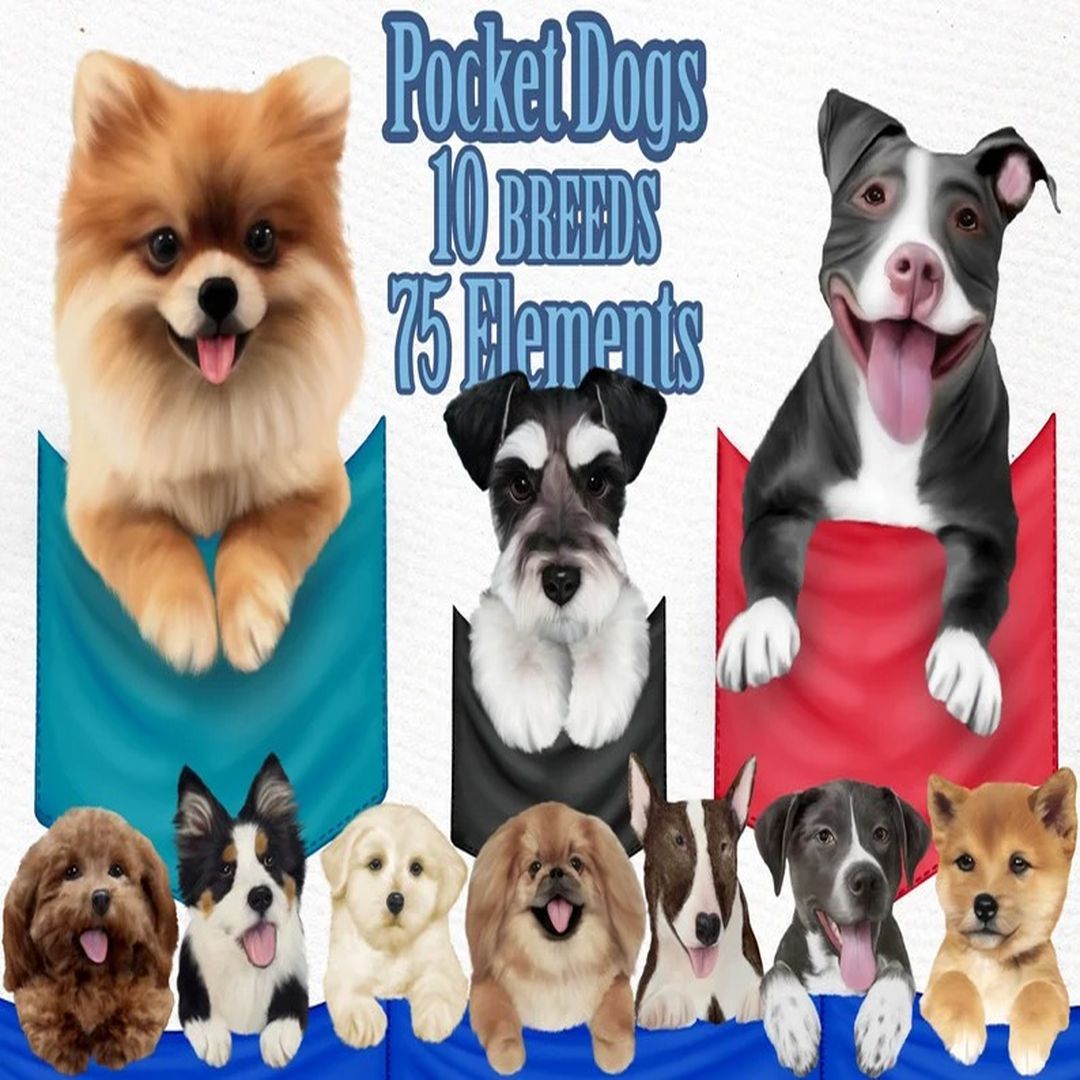 Pocket Dogs Clipart: "PUPPIES CLIPART" Dog breeds clipart Po | Inspire ...