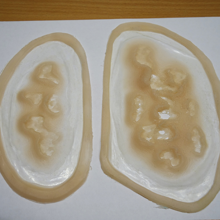 Silicone prosthetic makeup. Special effects makeup. Animal w - Inspire ...