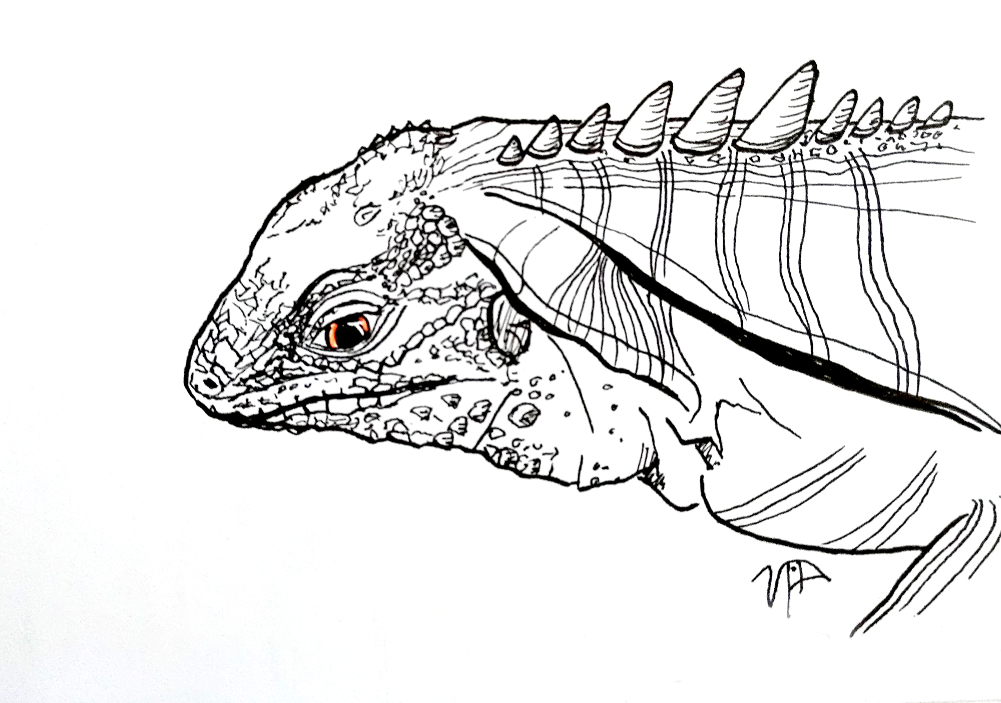 Iguana Artwork Hand Painted Original Art Lizard Drawing Ink | Inspire ...