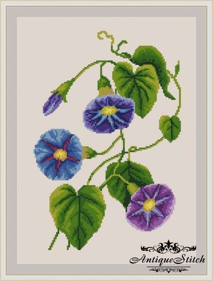 Morning Glory 75 Vintage Cross Stitch Pattern PDF Garden | Inspire Uplift