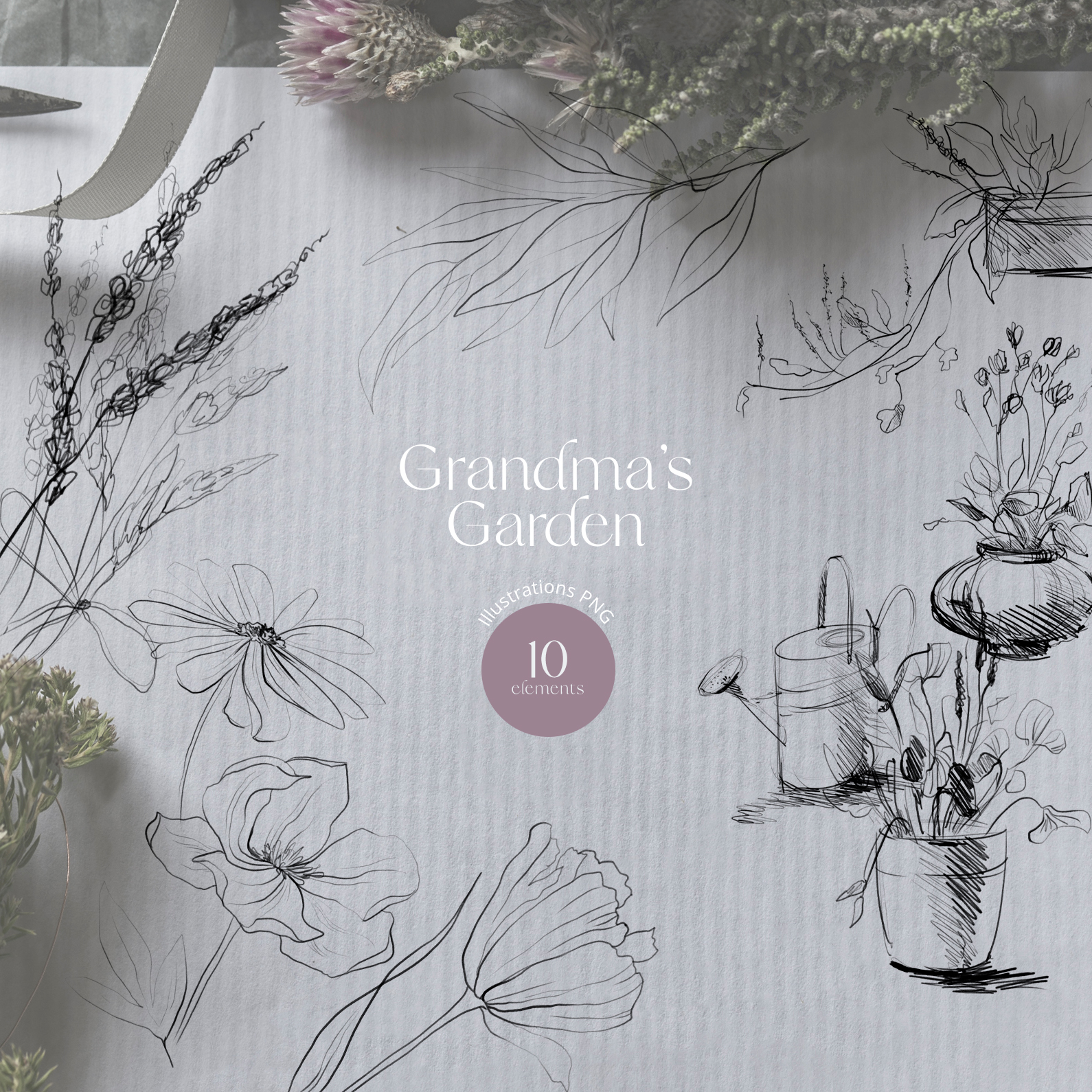 Botanical line art, garden clipart PNG set, hand drawn clipa | Inspire ...