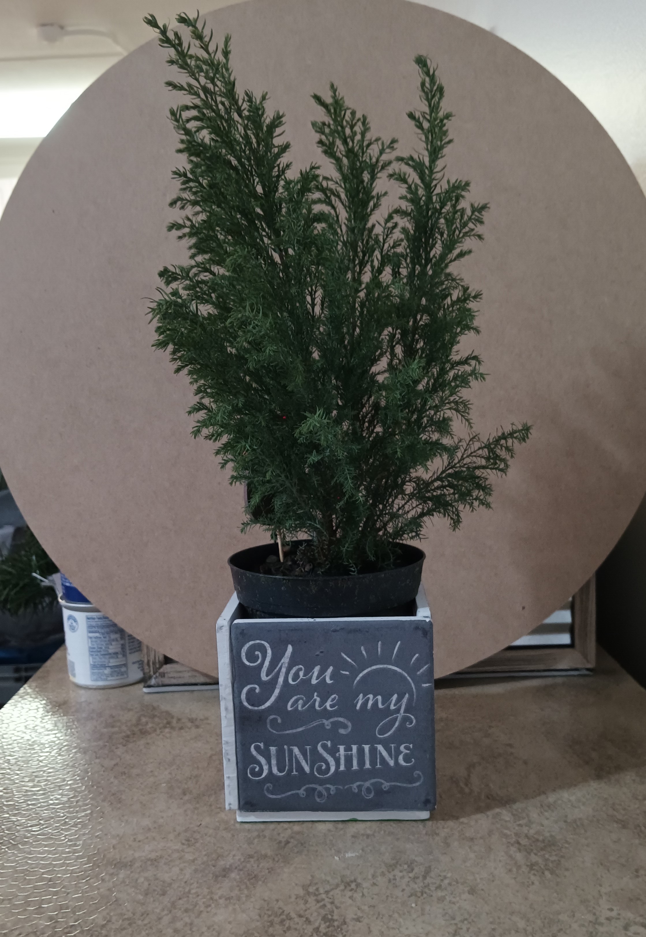 Inspirational Ceramic Tile 4" Indoor Planter - Inspire Uplift