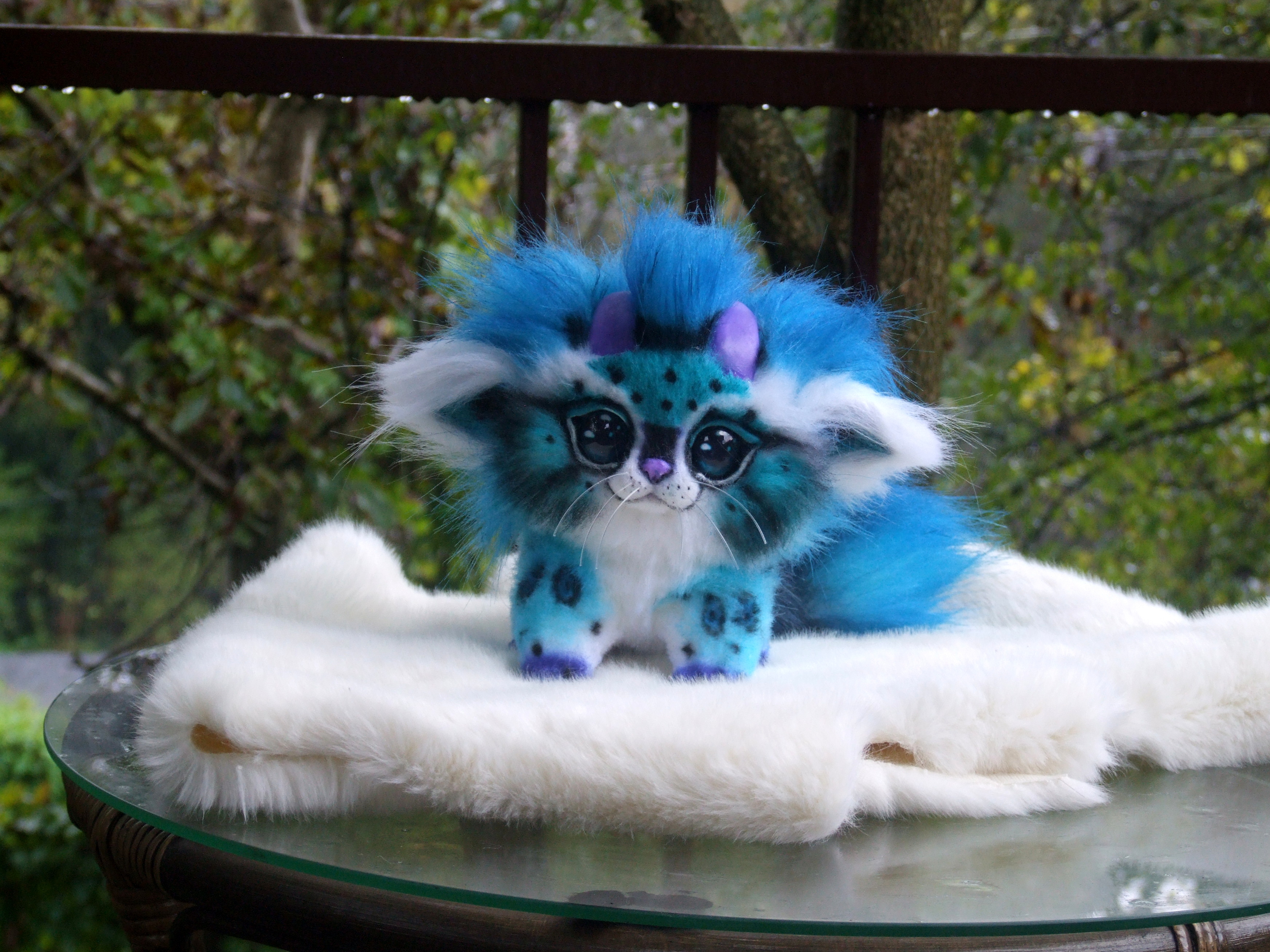 Small space leopard cat | Inspire Uplift