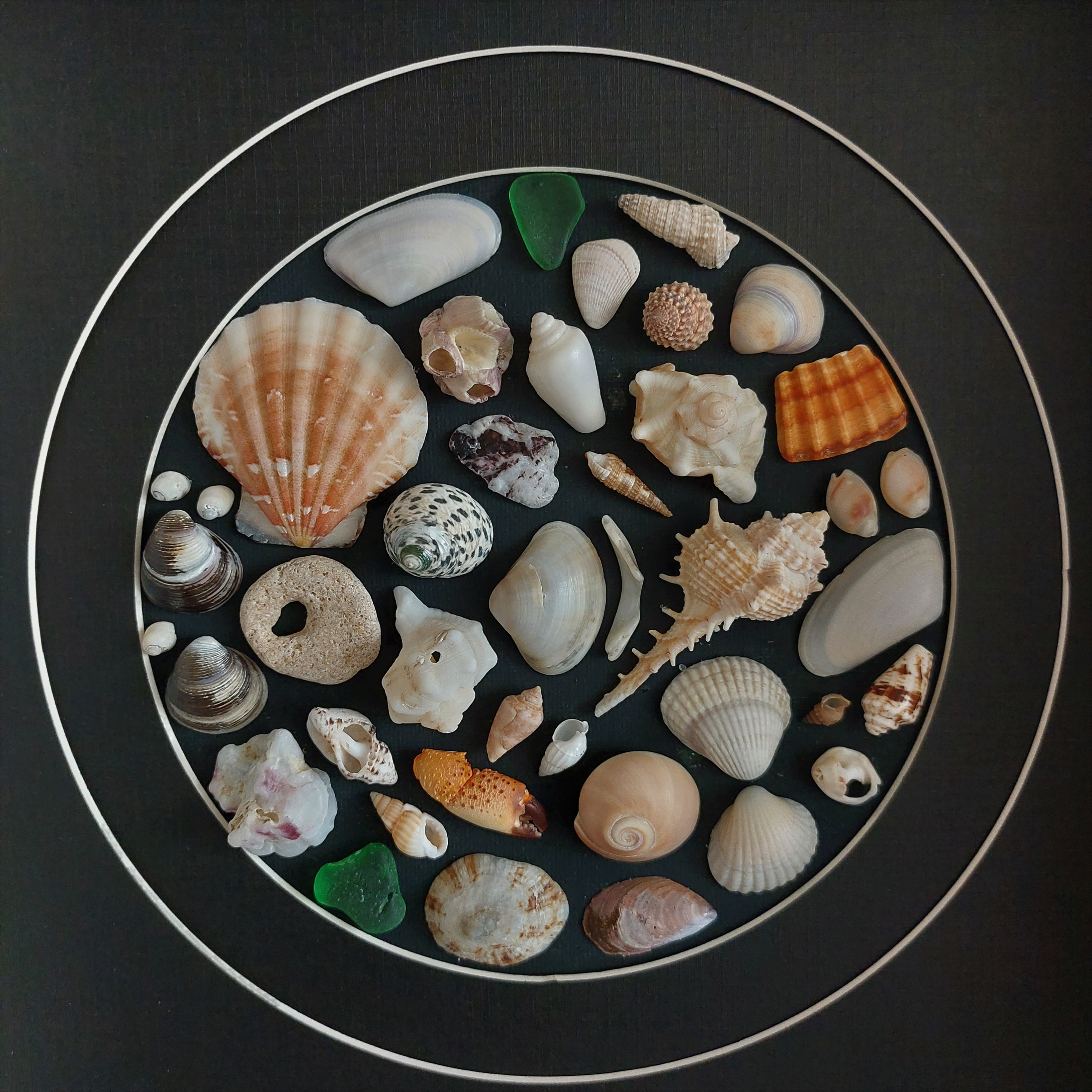 Round collage of seashells, sea glass and pebbles. Mosaic of - Inspire ...
