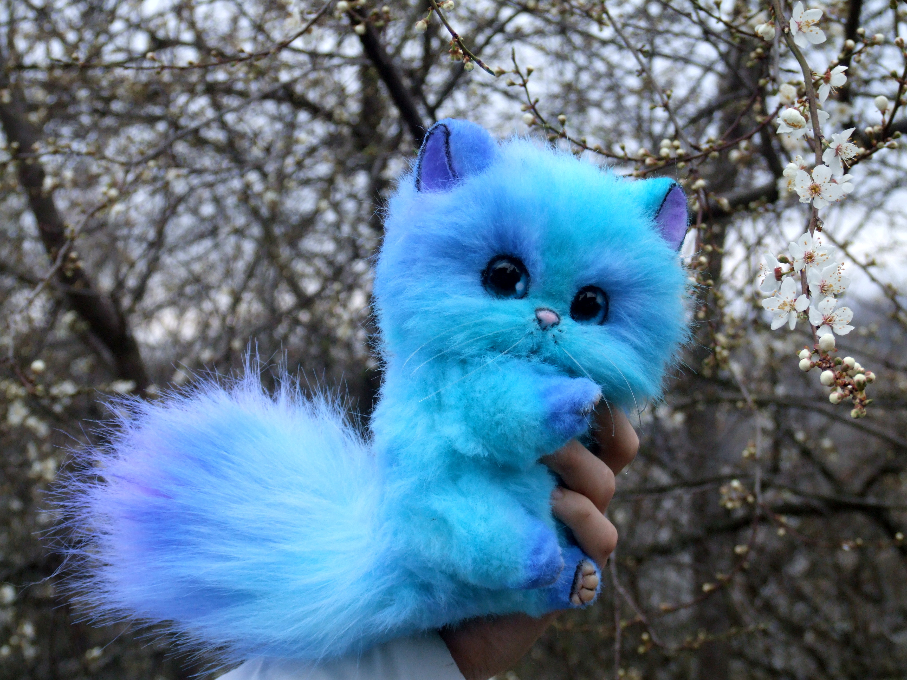 Soul cat | Inspire Uplift