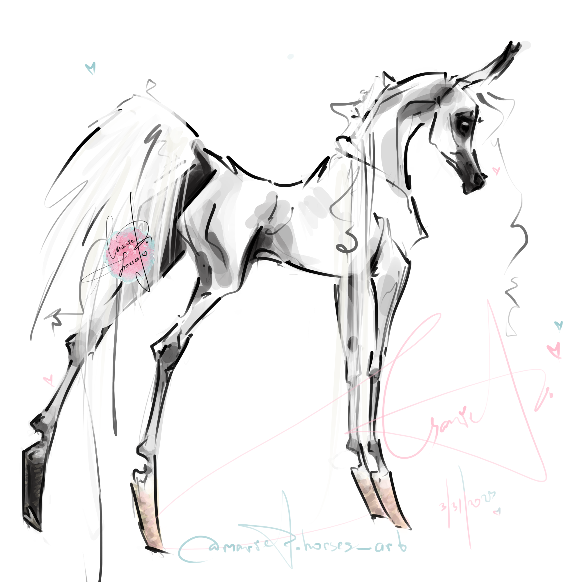 ART digital illustration Horse sketch commission equine draw - Inspire ...