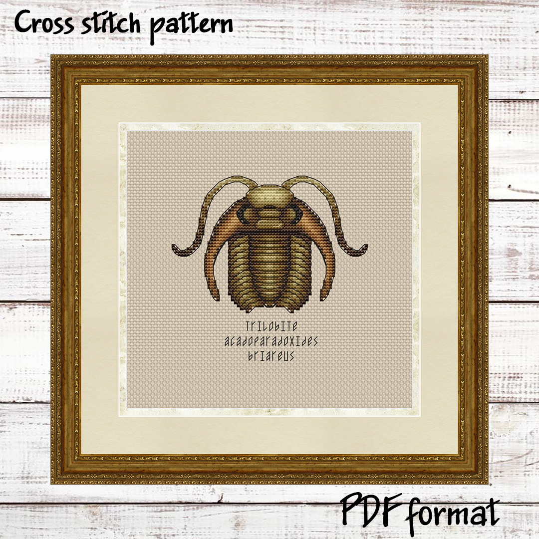 Trilobite fossil cross stitch pattern modern, Paleontology | Inspire Uplift