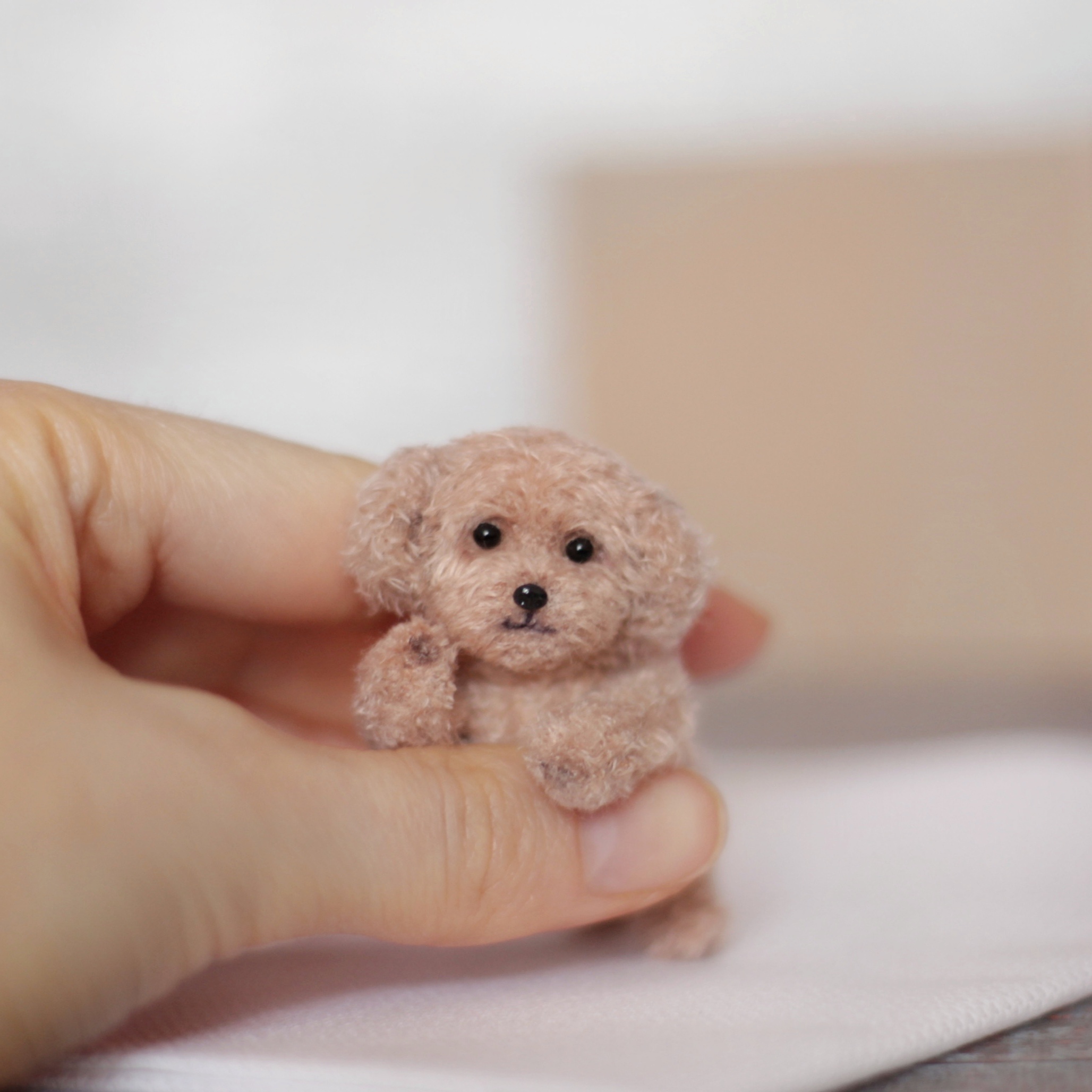 Miniature puppy, Dollhouse miniatures, Mini maltipoo dog, To | Inspire ...