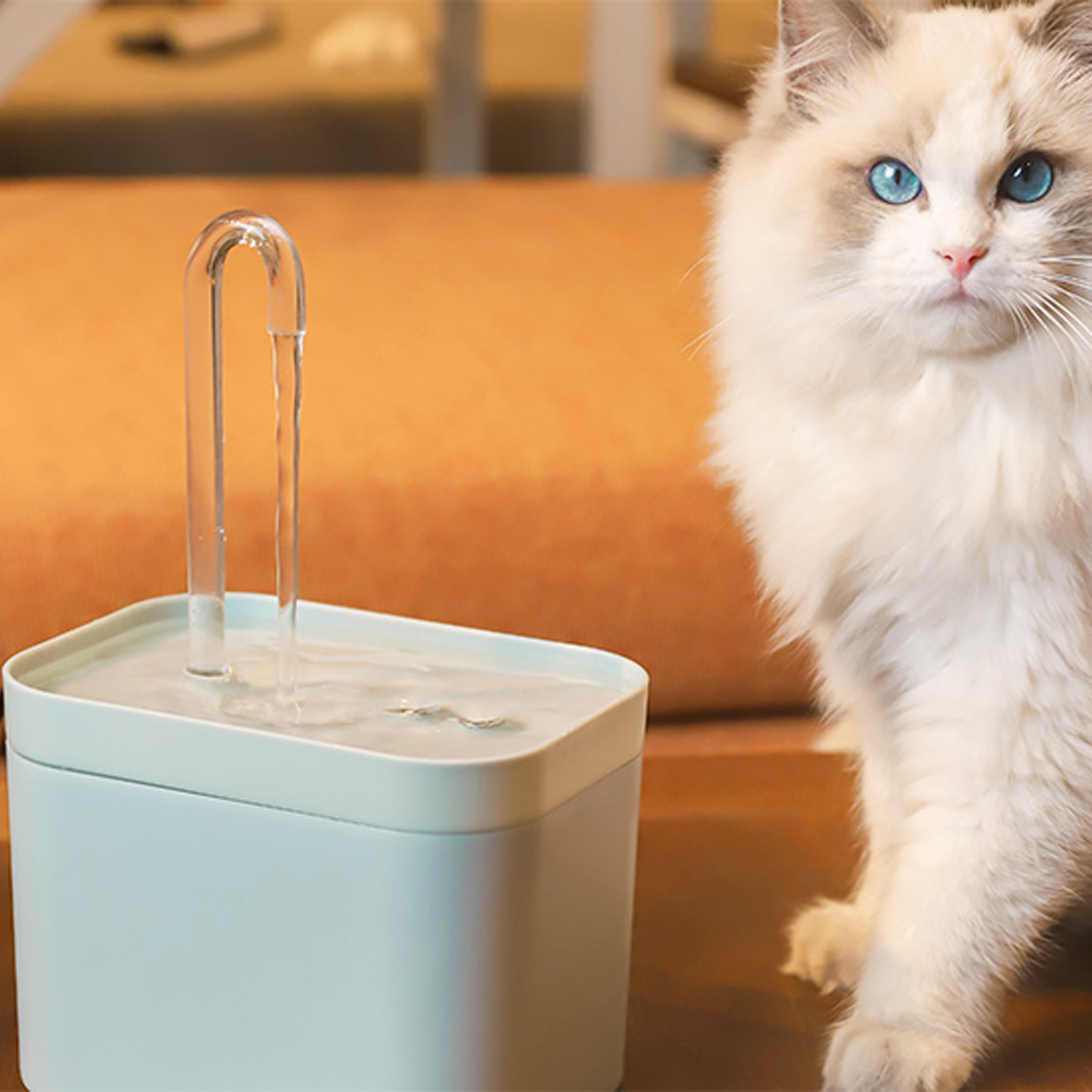 Automatic Cat Water Fountain Dispenser | Inspire Uplift