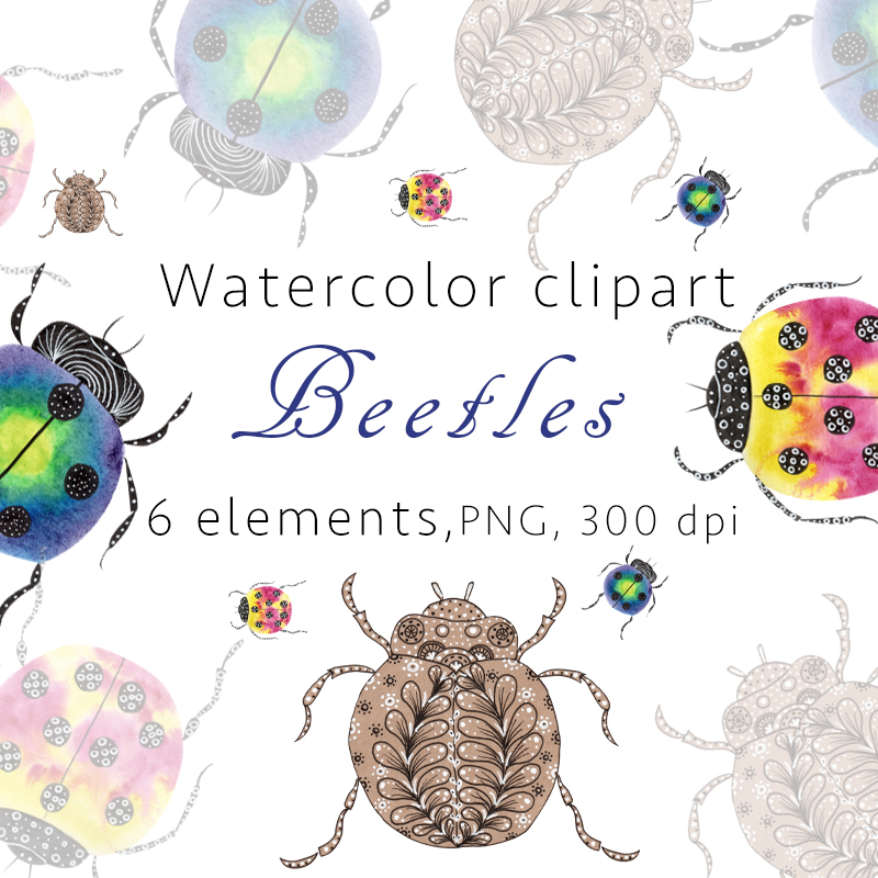 Beetles Watercolor Clipart, PNG - Inspire Uplift