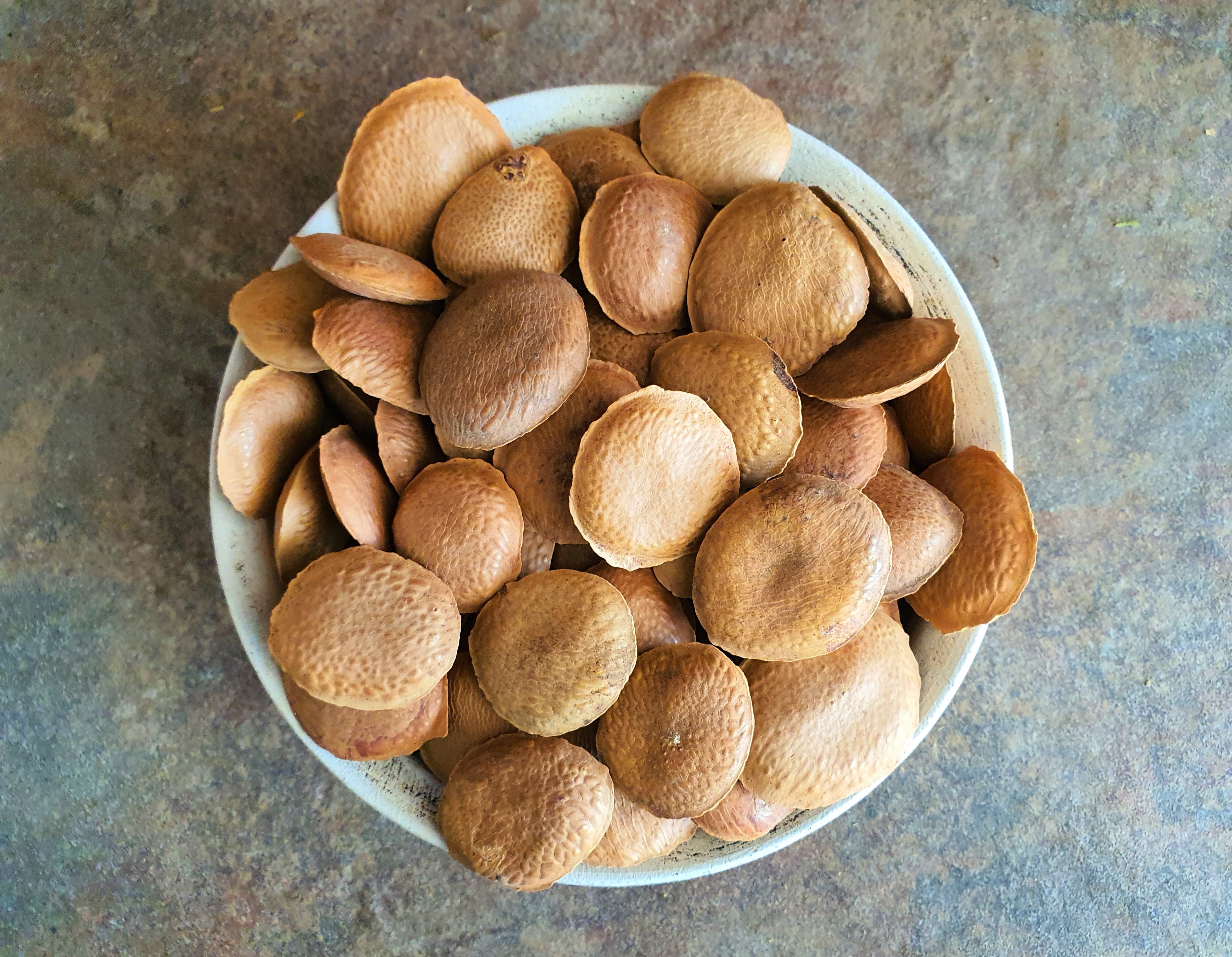 SUCUPIRA dried whole seeds, Pterodon emarginatus | Inspire Uplift