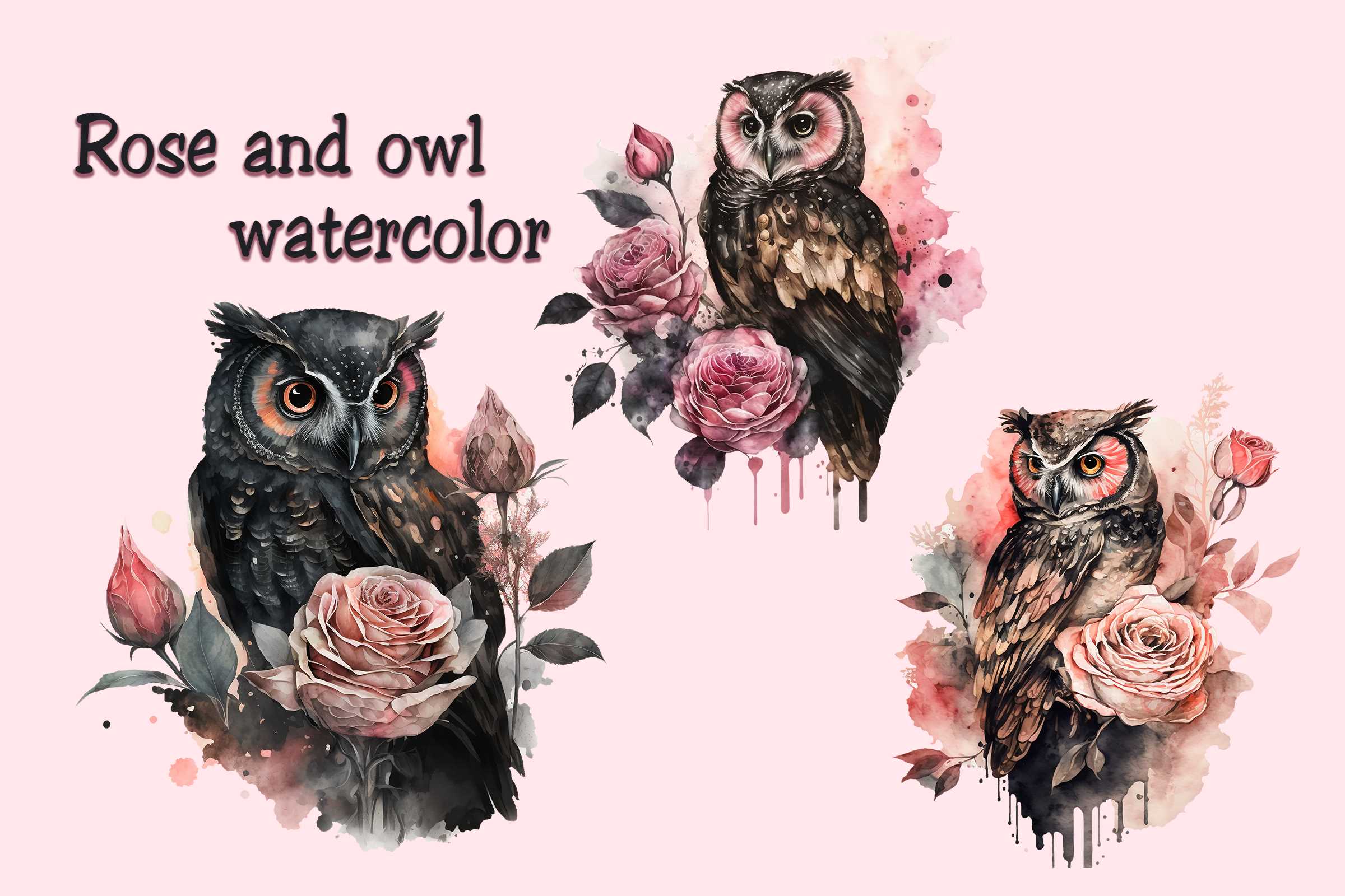 Rose And Owl Watercolor PNG, Animal Png, Owl Png, Red Rose P | Inspire ...