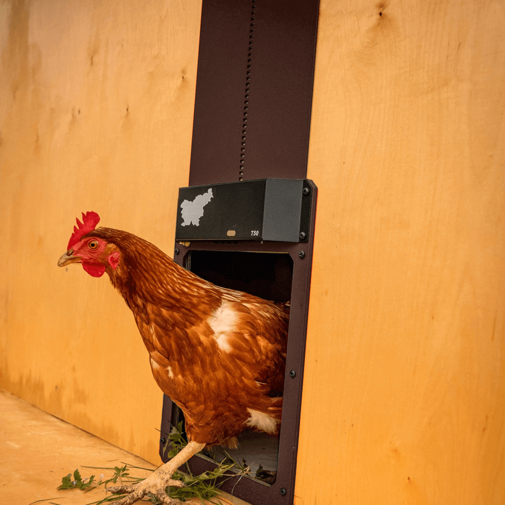 Battery-Powered Automatic Chicken House Door | Inspire Uplift