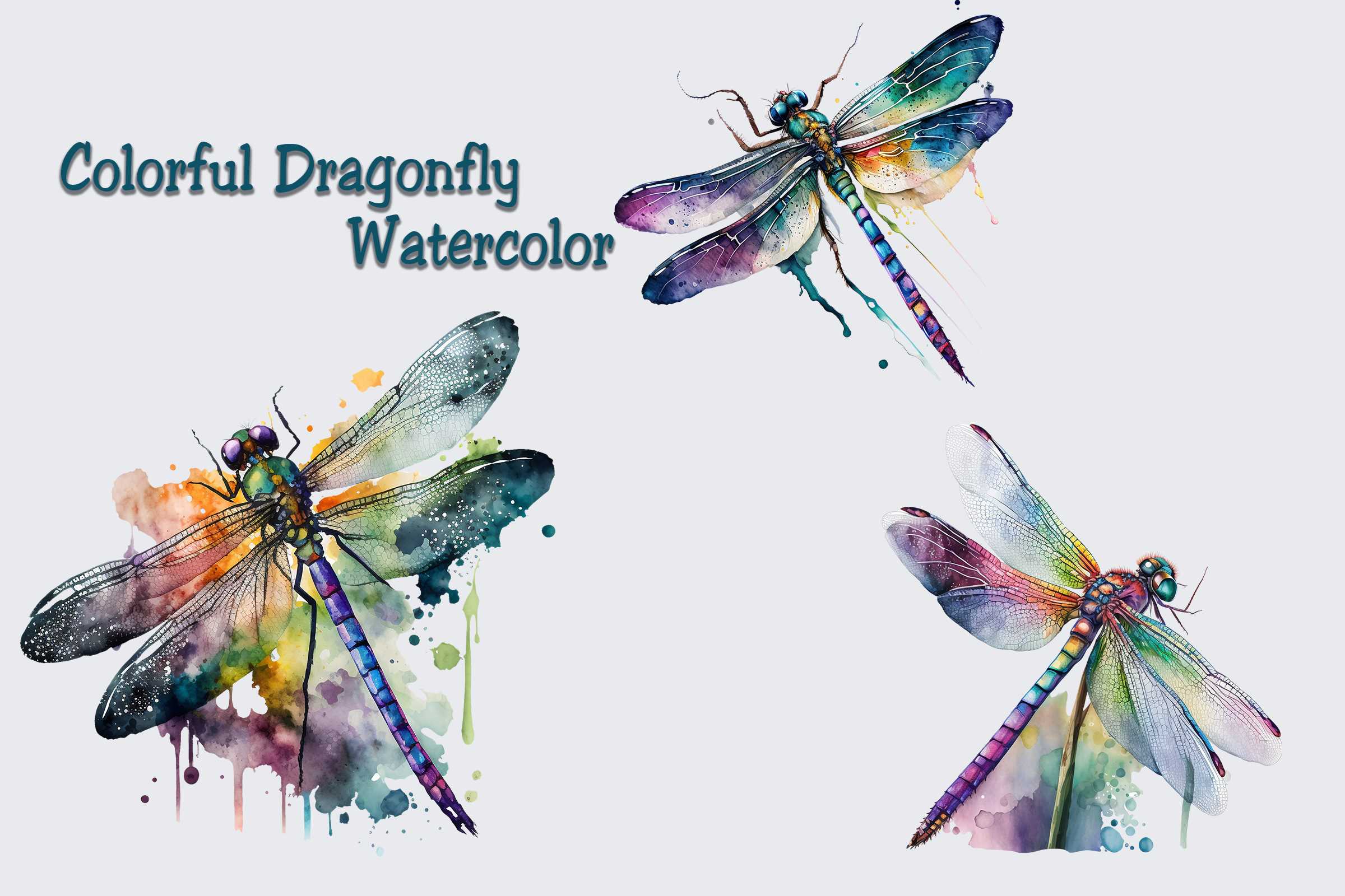 Colorful Dragonfly Watercolor Files, Animal Png, Animal Love | Inspire ...