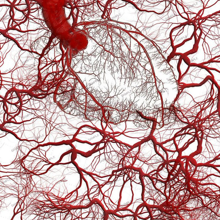 Vein Map 21 Seamless Tileable Repeating Pattern | Inspire Uplift