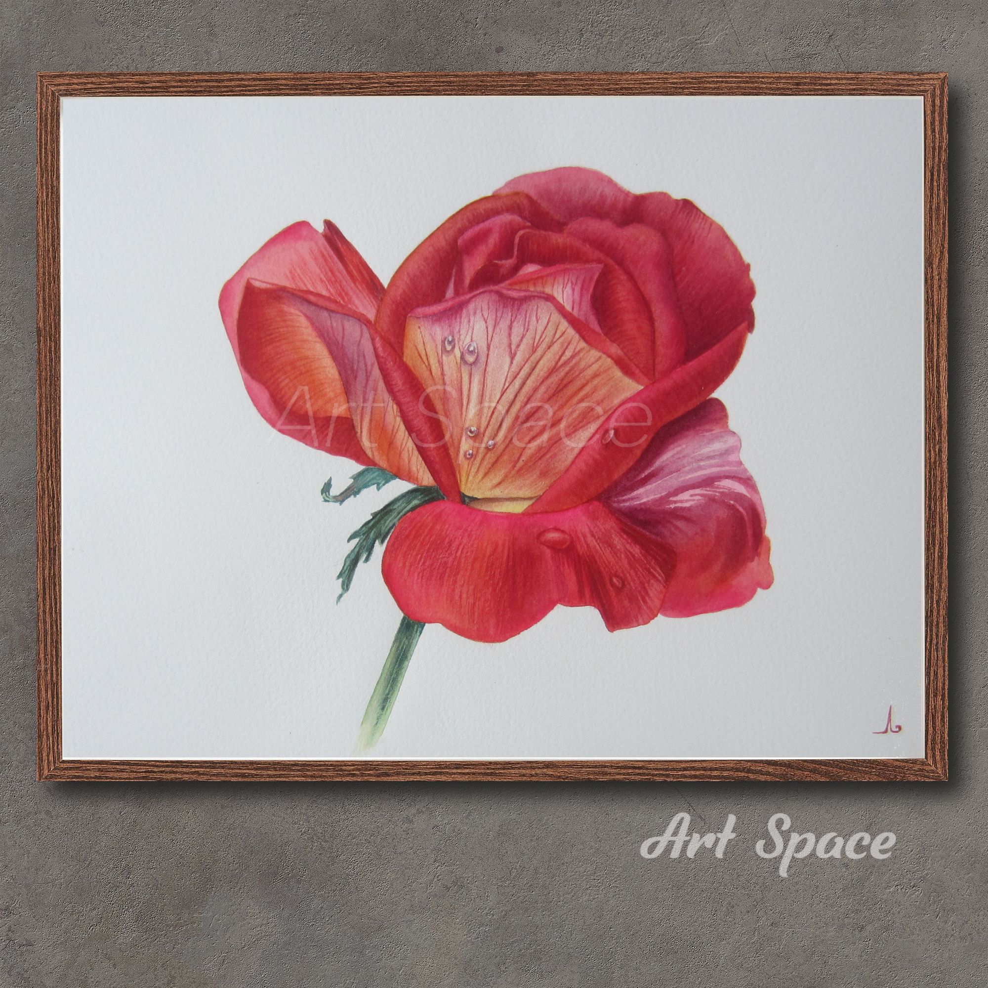 Original watercolor painting "Southern rose" flower, kitchen | Inspire ...
