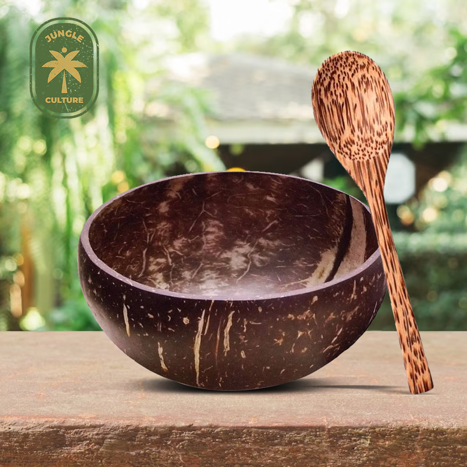 Set Coconut Shell Bowl and Spoon | Inspire Uplift