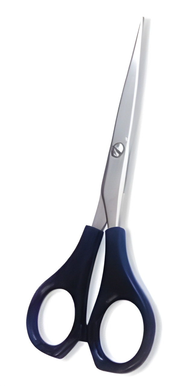 Bhatti International Professional Hair Cutting Scissors | Inspire Uplift