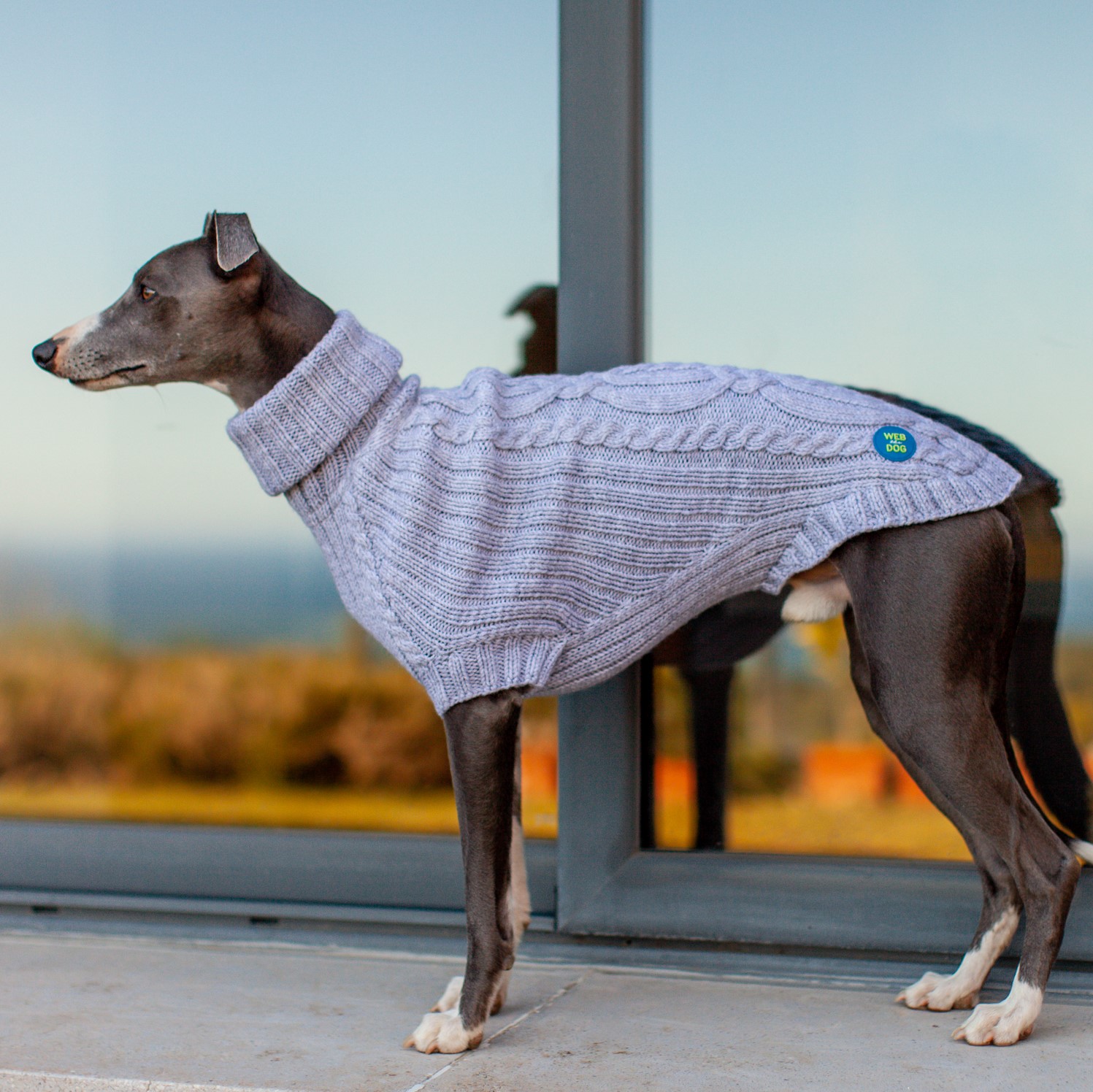 Whippet Jumper Knitting Pattern DOG — Knitting Patterns For Kids