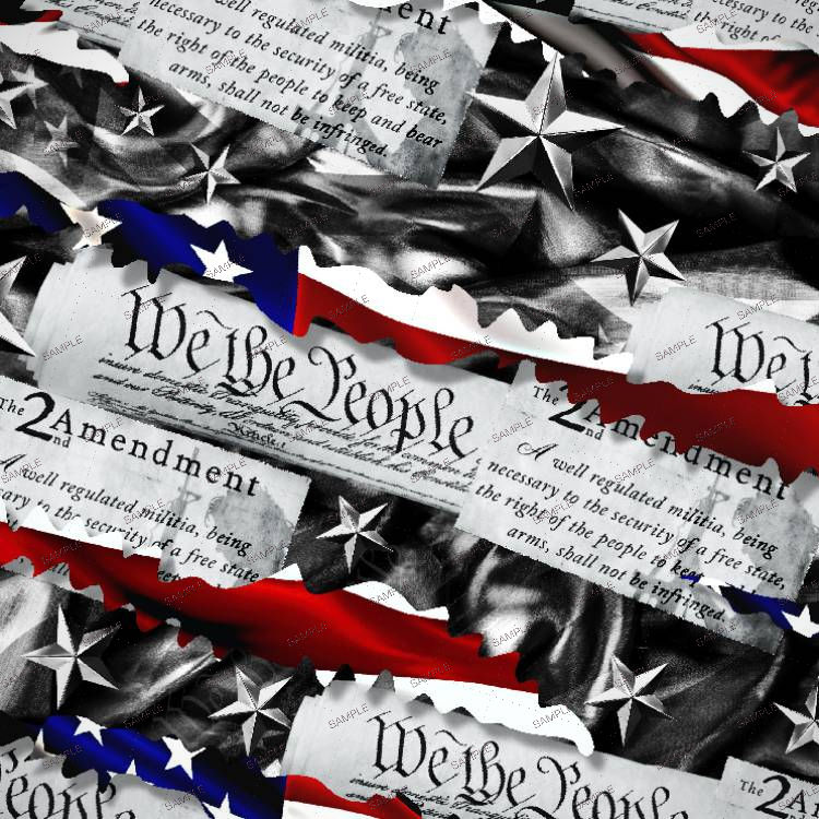 Amendment 22 Pictures