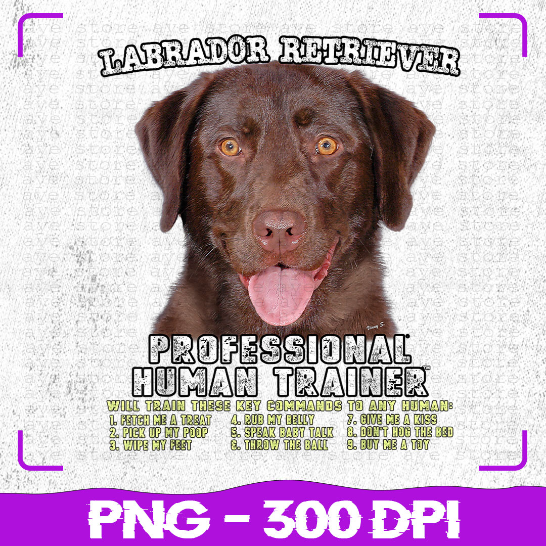 Labrador Retriever Chocolate png, Lab Professional Human Tra | Inspire ...