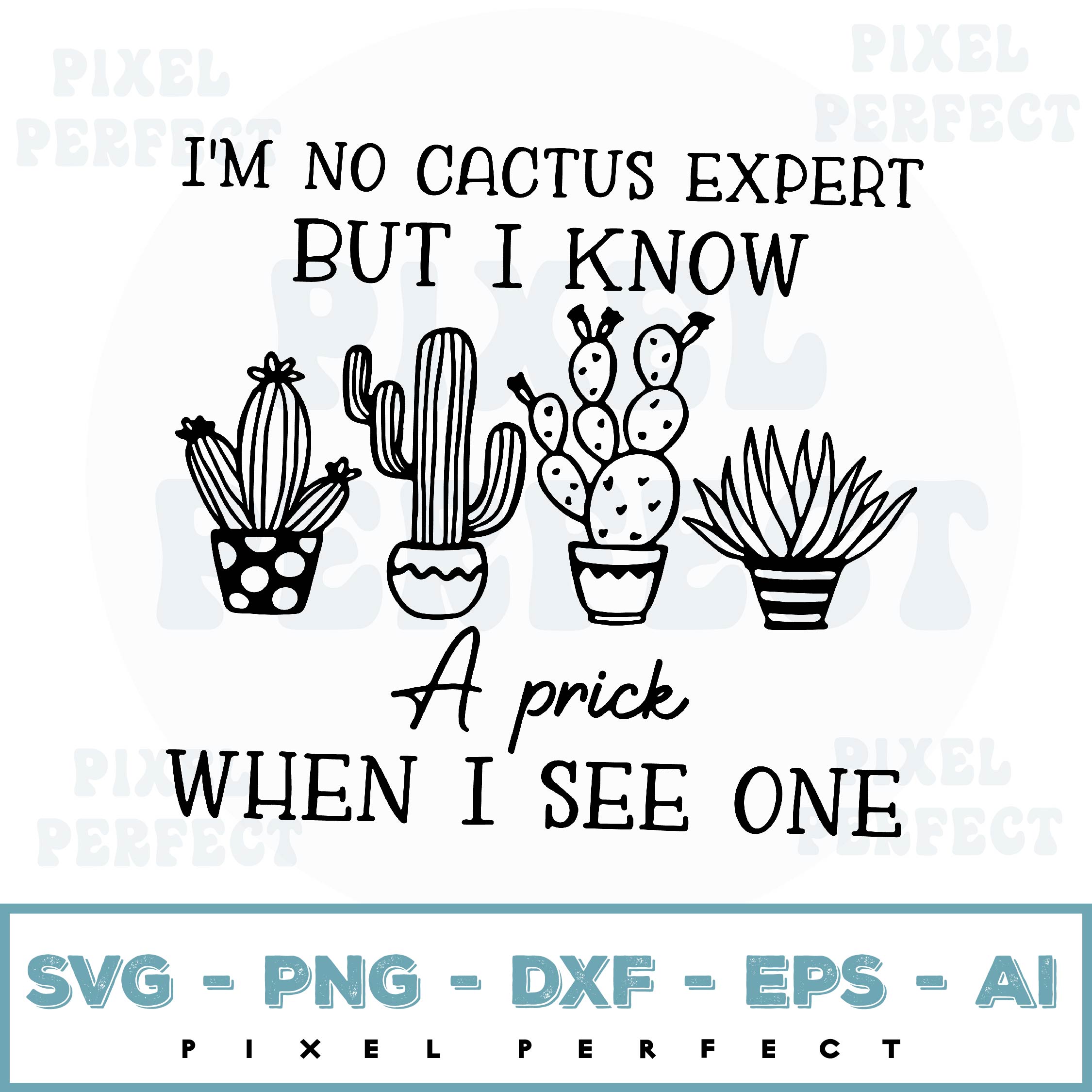 I'm No Cactus Expert But I Know A Prick When I See One Svg, | Inspire ...