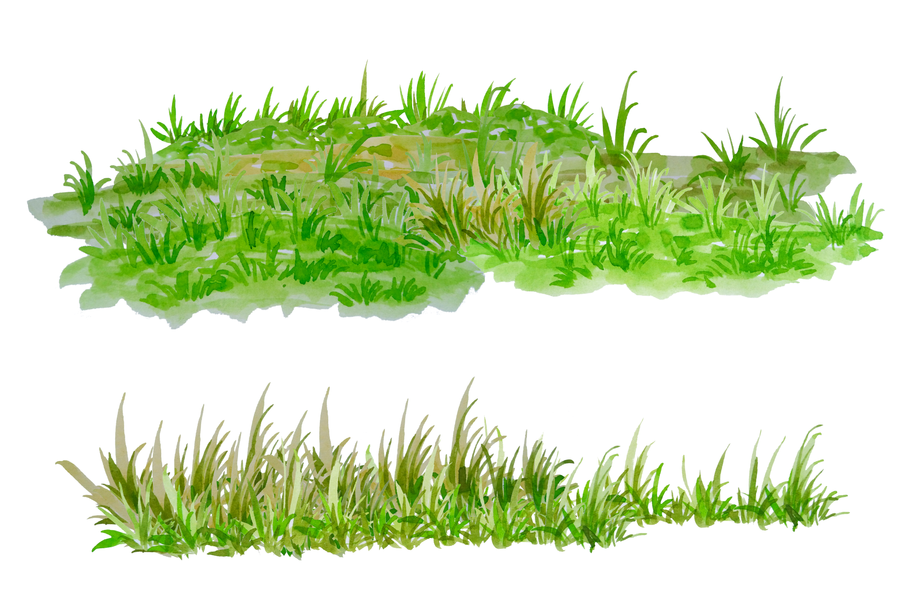 watercolor summer grass | Inspire Uplift