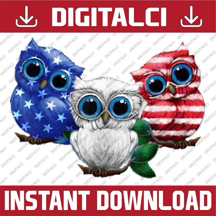 Owl American Flag 4th Of July Memorial day, American Flag, I | Inspire ...