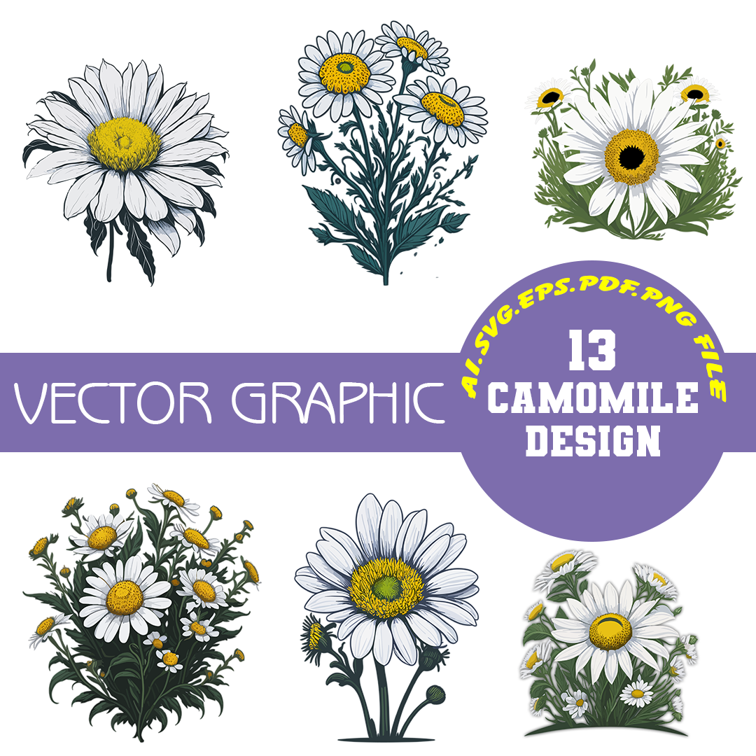 13 CAMOMILE Vector Digital File Ai.EPS.PDF.SVG,PNG Digital - Inspire Uplift