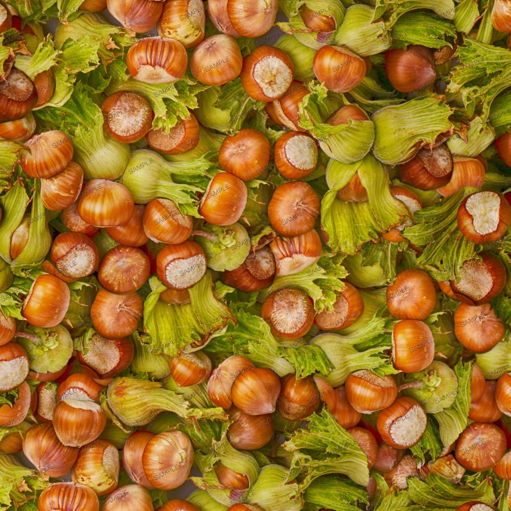 Hazelnuts with Shells Seamless Tileable Repeating Pattern | Inspire Uplift