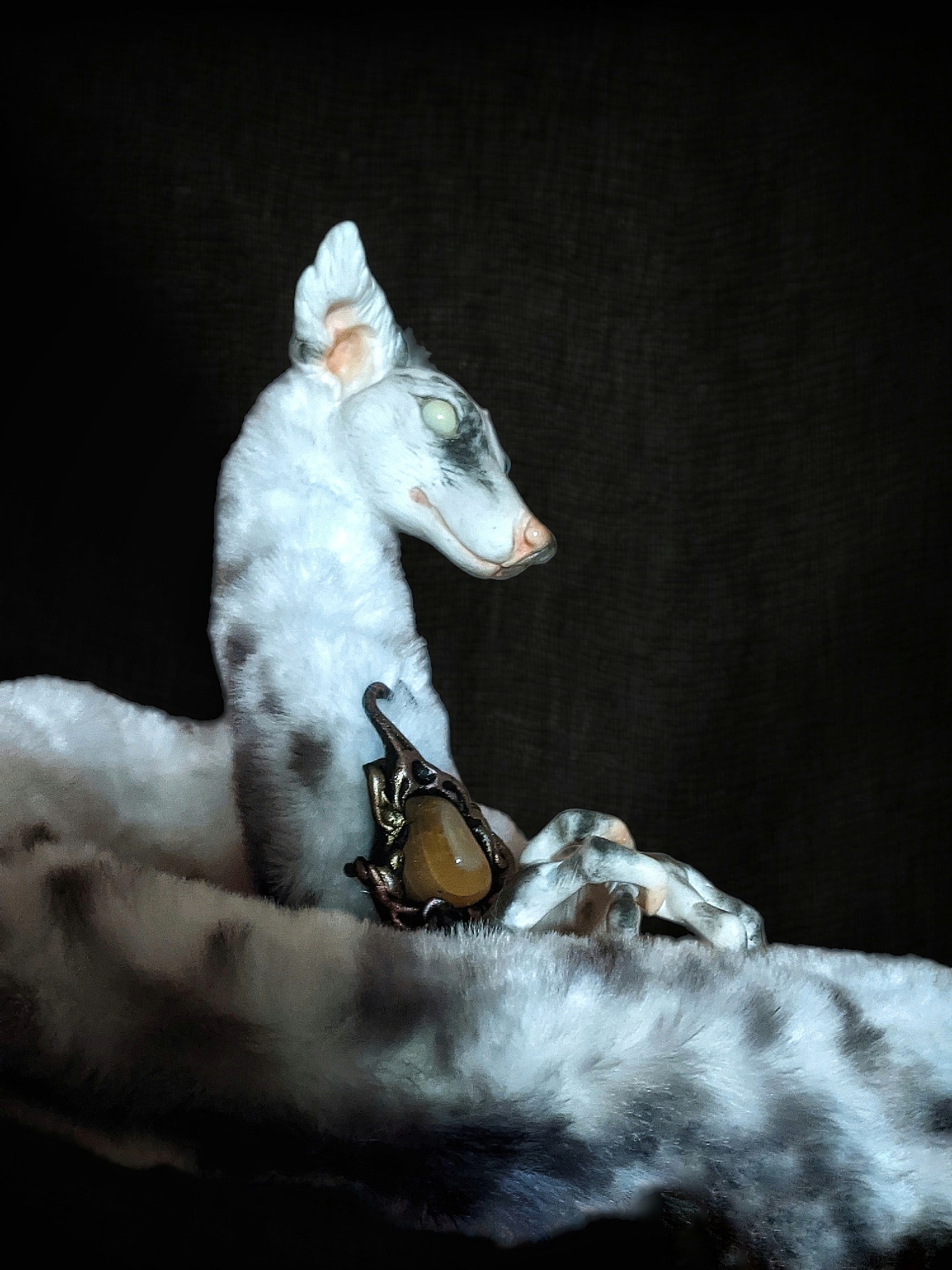 Spotted dragon - Inspire Uplift