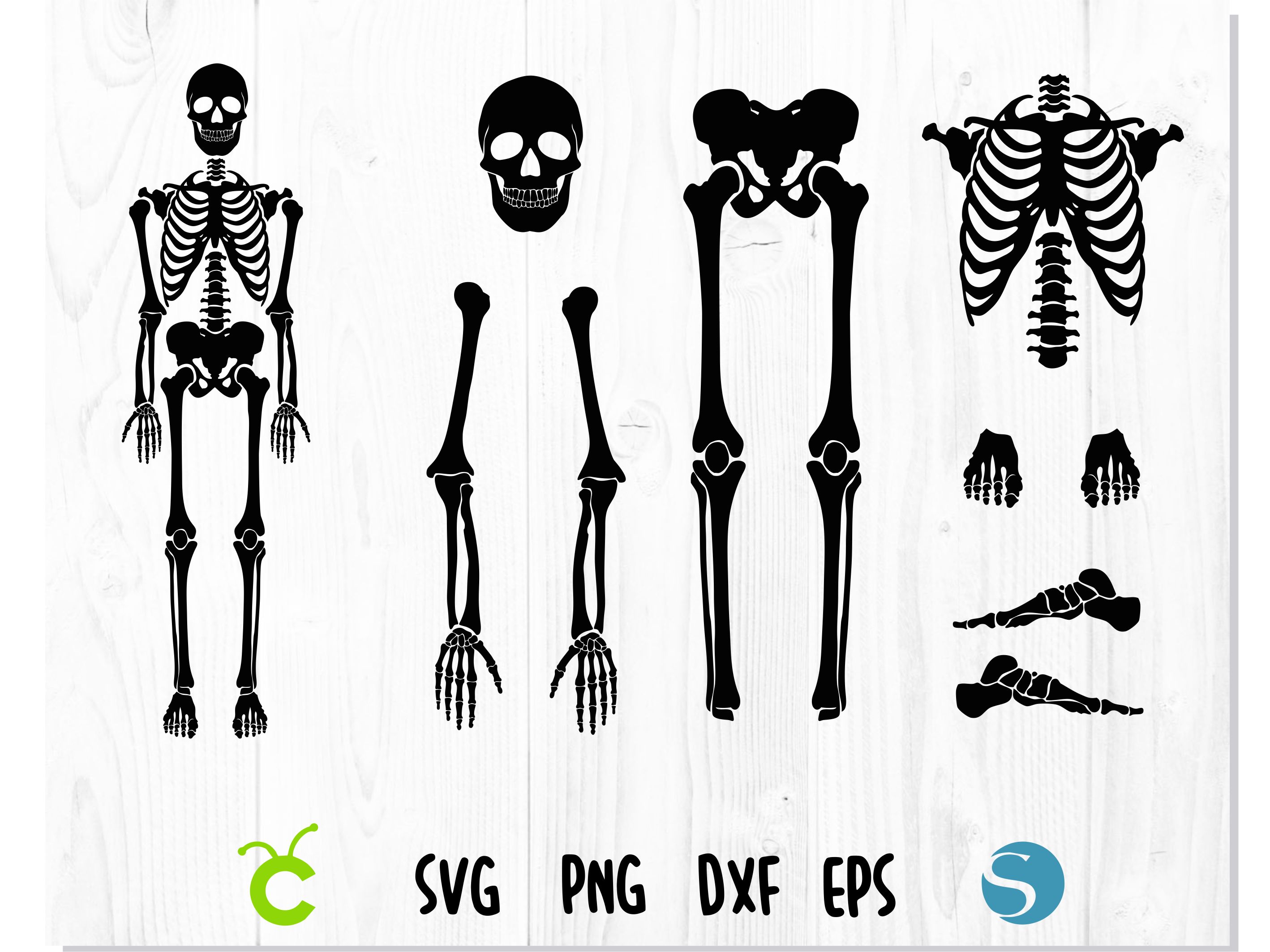 SKELETON PARTS SVG, Skeleton svg, Skeleton Bones parts svg, - Inspire ...