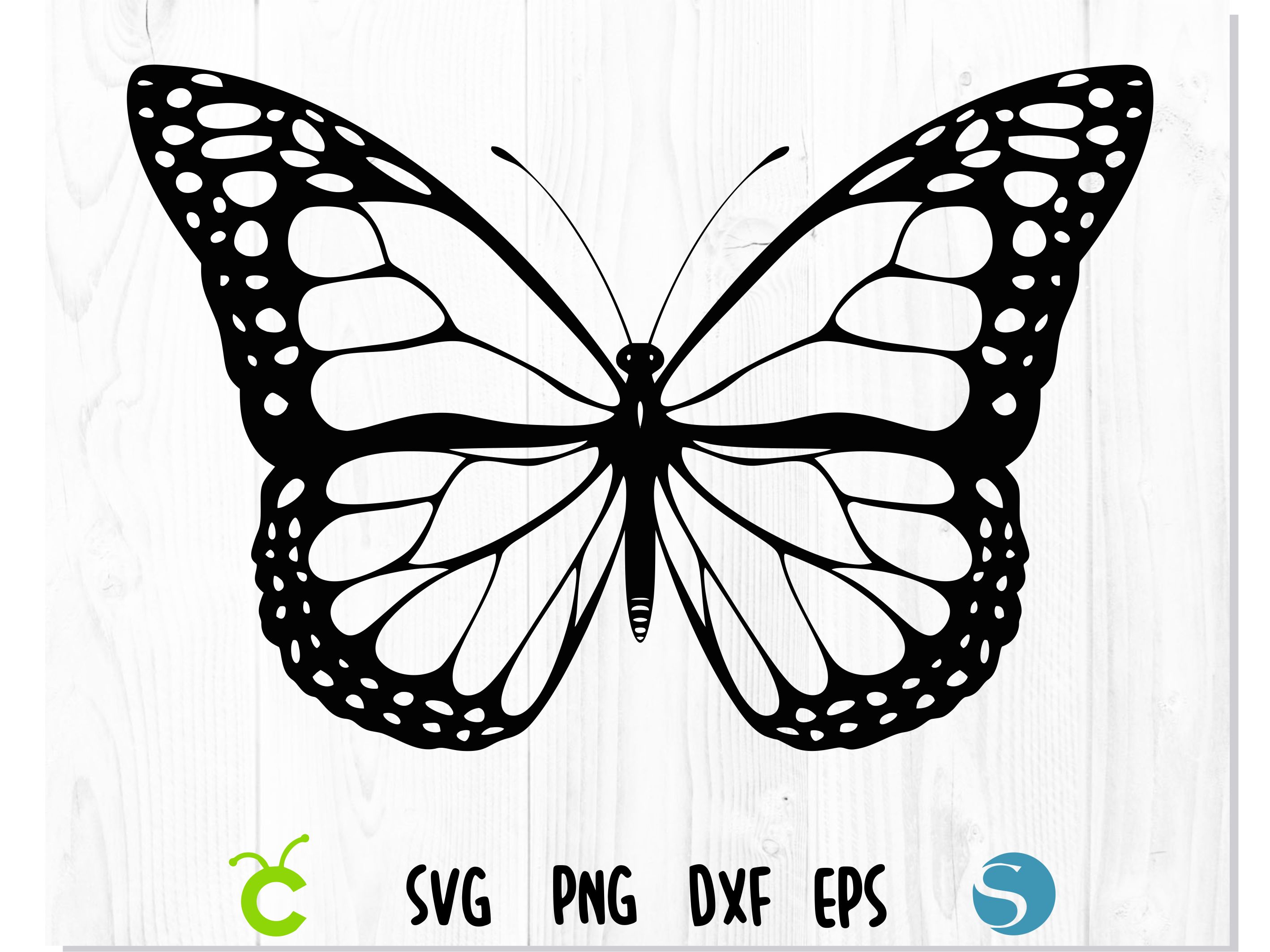 Butterfly svg, Butterfly vector file, Butterfly png, Butterf | Inspire ...